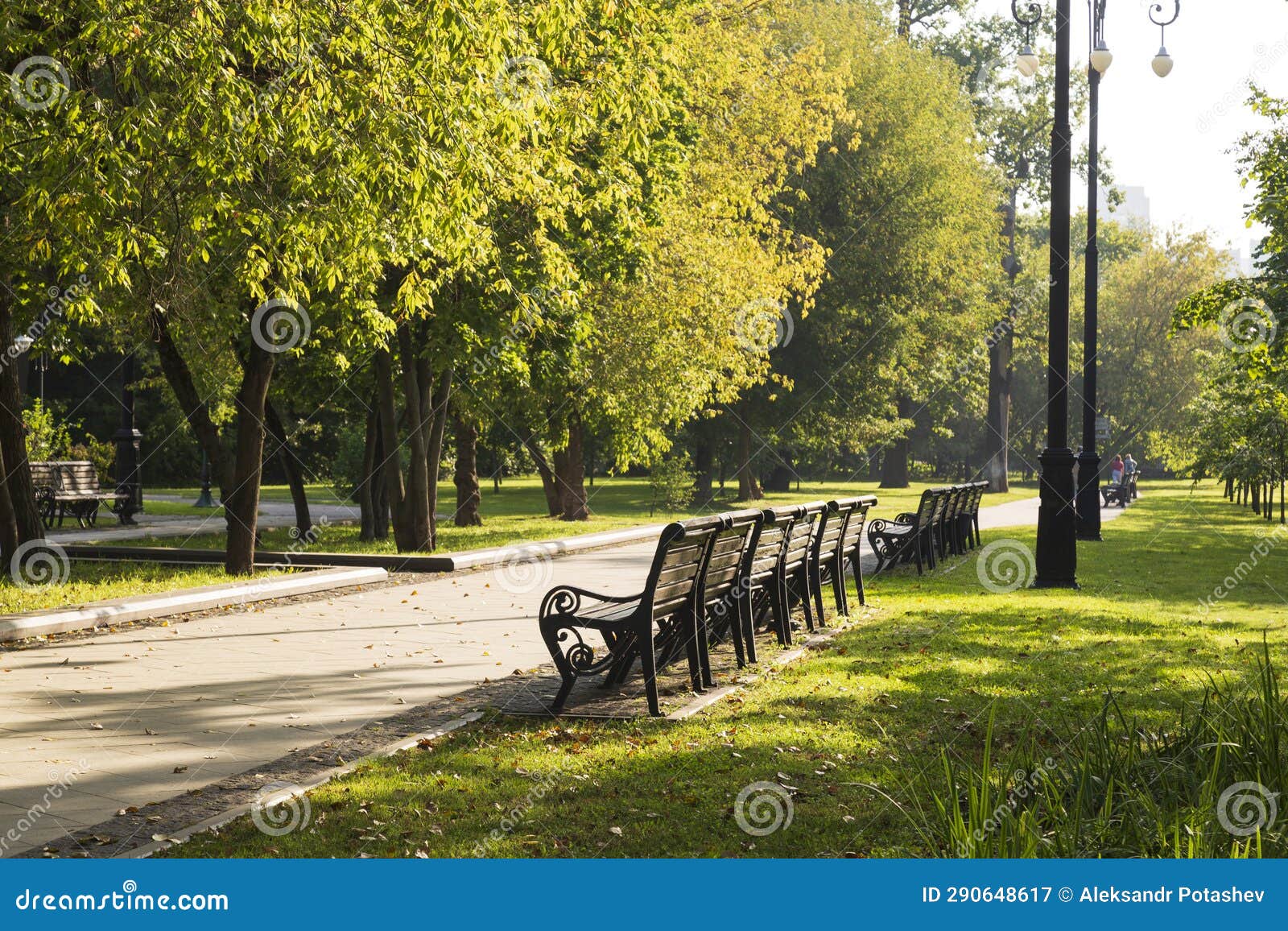 Park with Benches.Improvement of the City Stock Image - Image of site ...