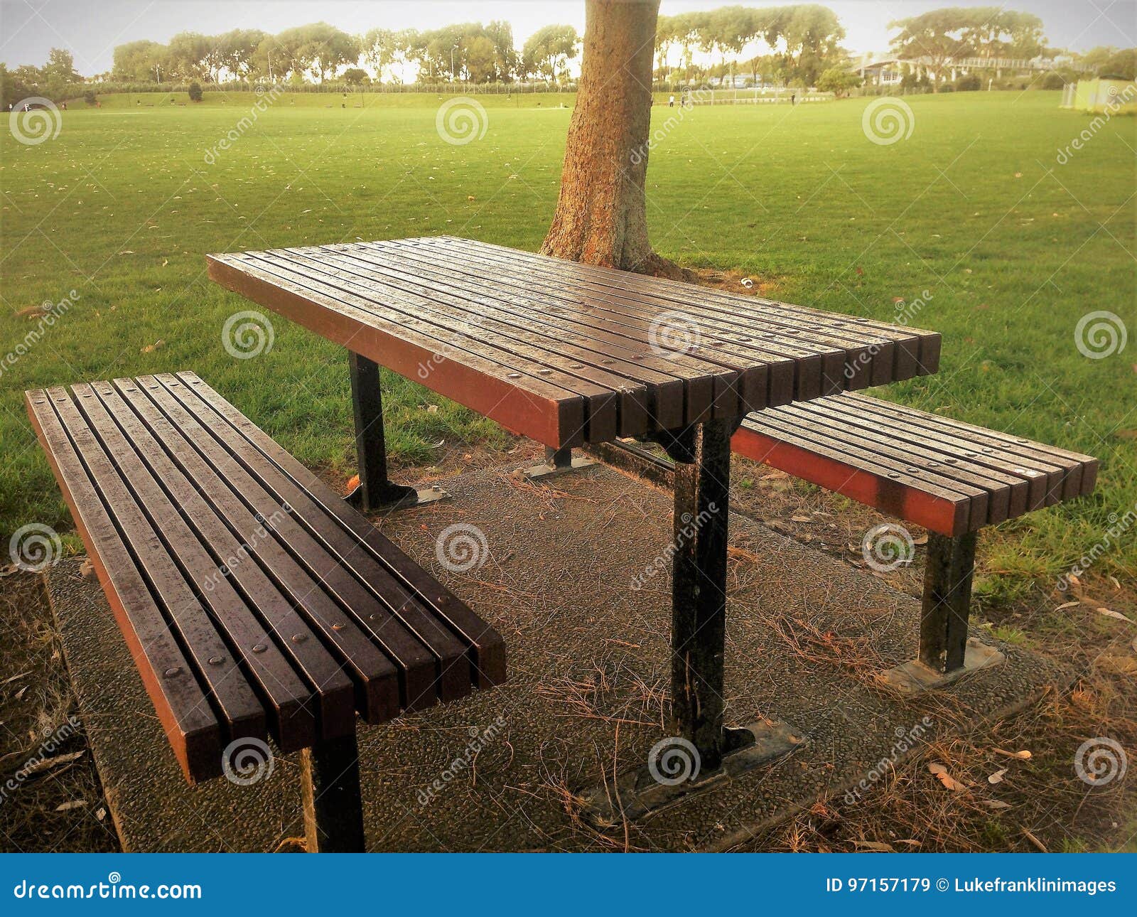 Park Benches and Table Unit Stock Image - Image of travel, trunk: 97157179