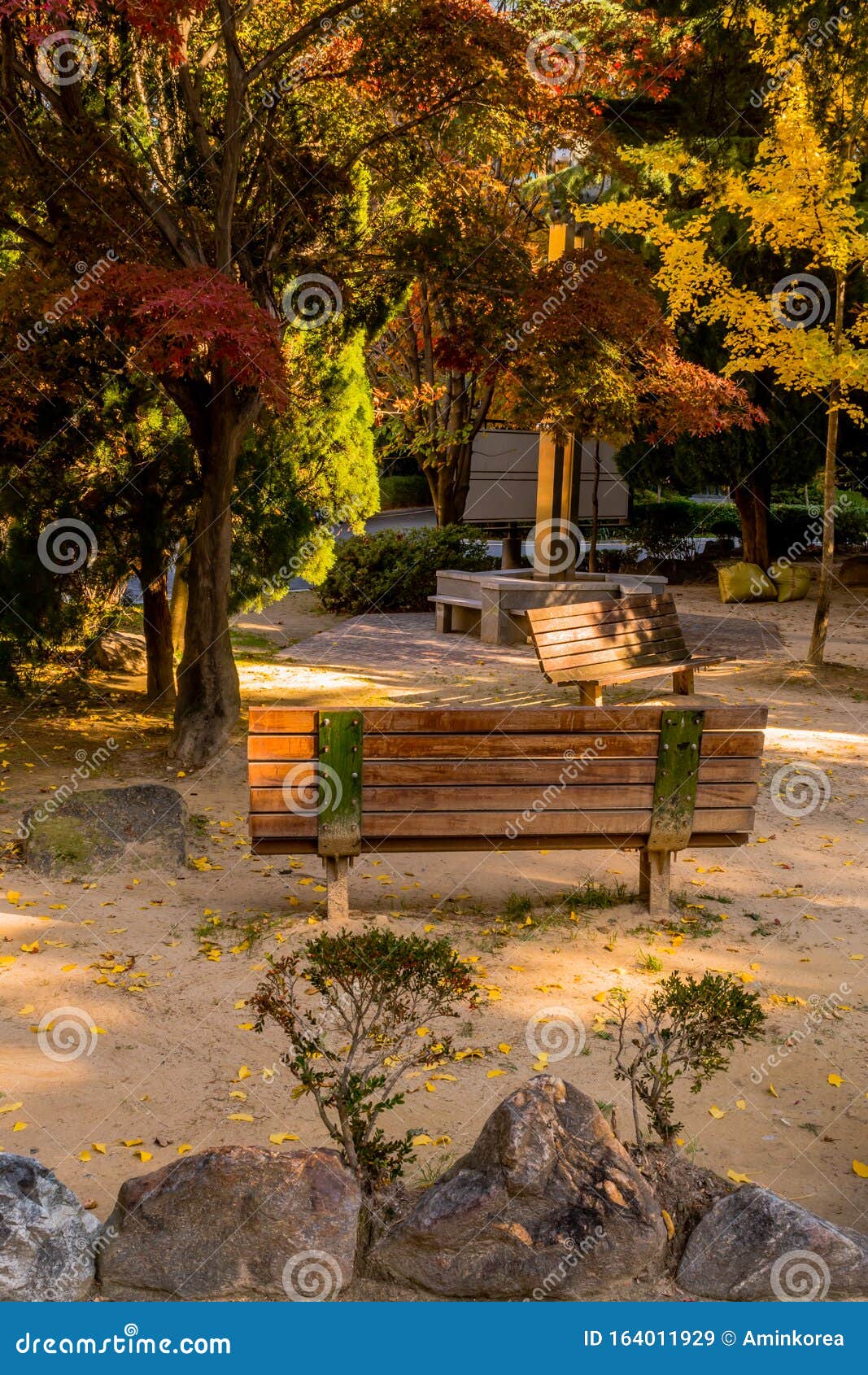 Park Benches Under Shade Trees Stock Image - Image of boulder, quiet ...