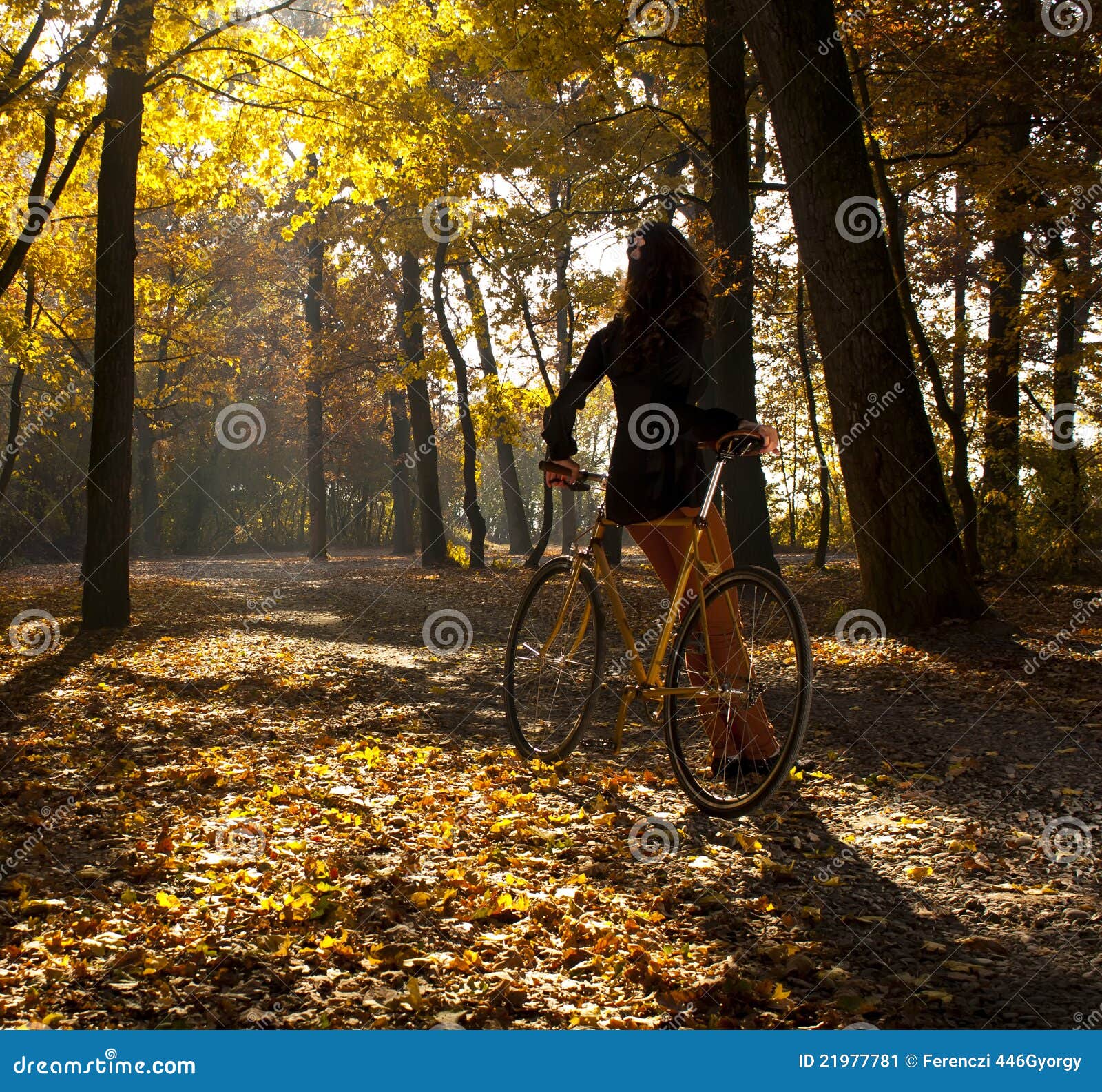 In the park with the bike stock image. Image of lady - 21977781
