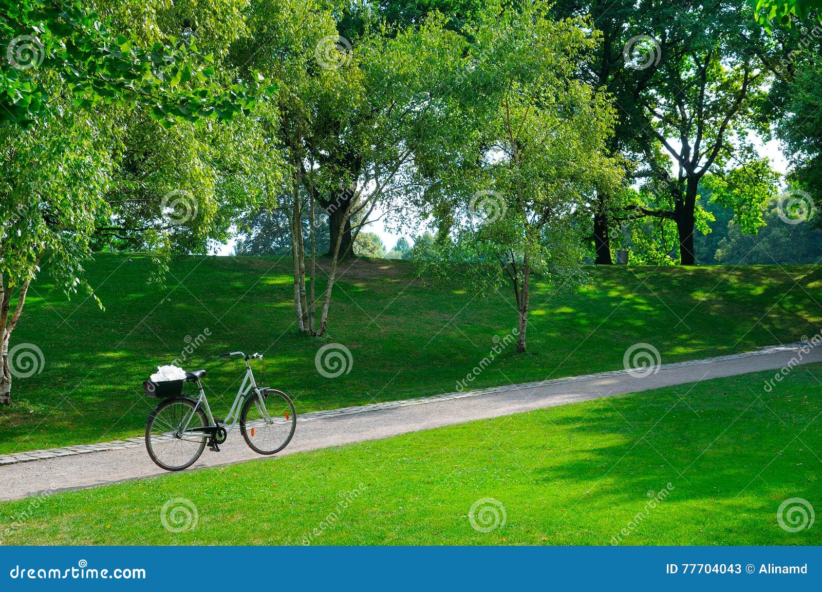 Park, Bike and Bicycle Path Stock Image - Image of parkland, footpath ...