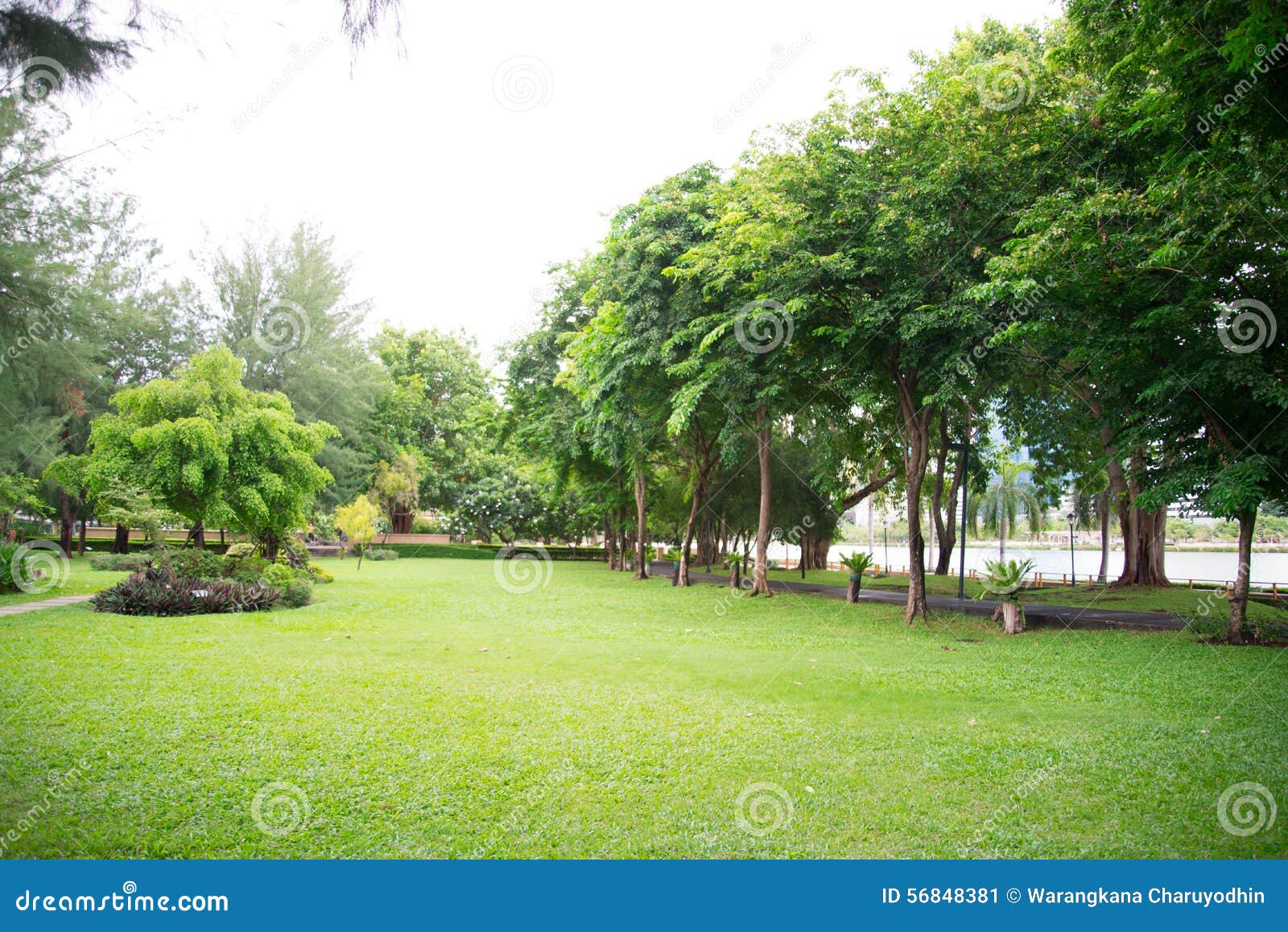 Park in the City Full with Tree Ozone Place Stock Image - Image of ...