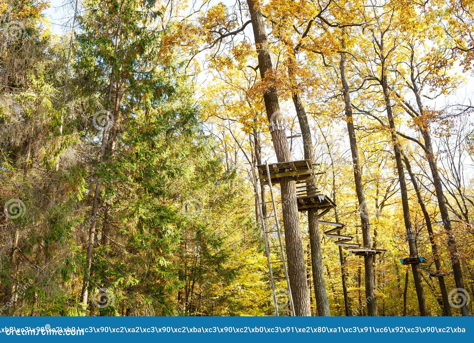 Park for Climbers in the Autumn Forest Stock Photo - Image of line ...