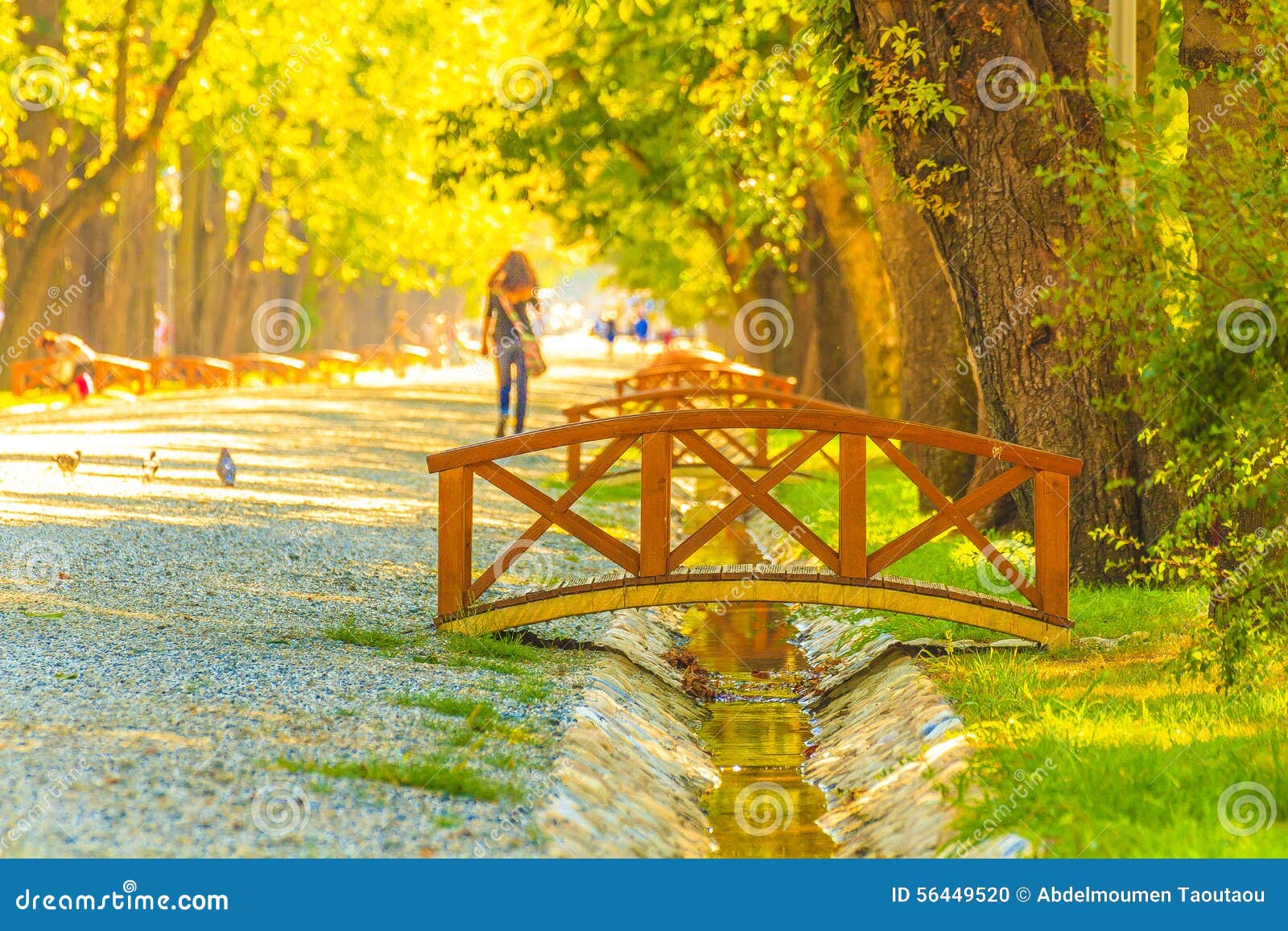 Park in Cluj-Napoca editorial image. Image of break, landscape - 56449520