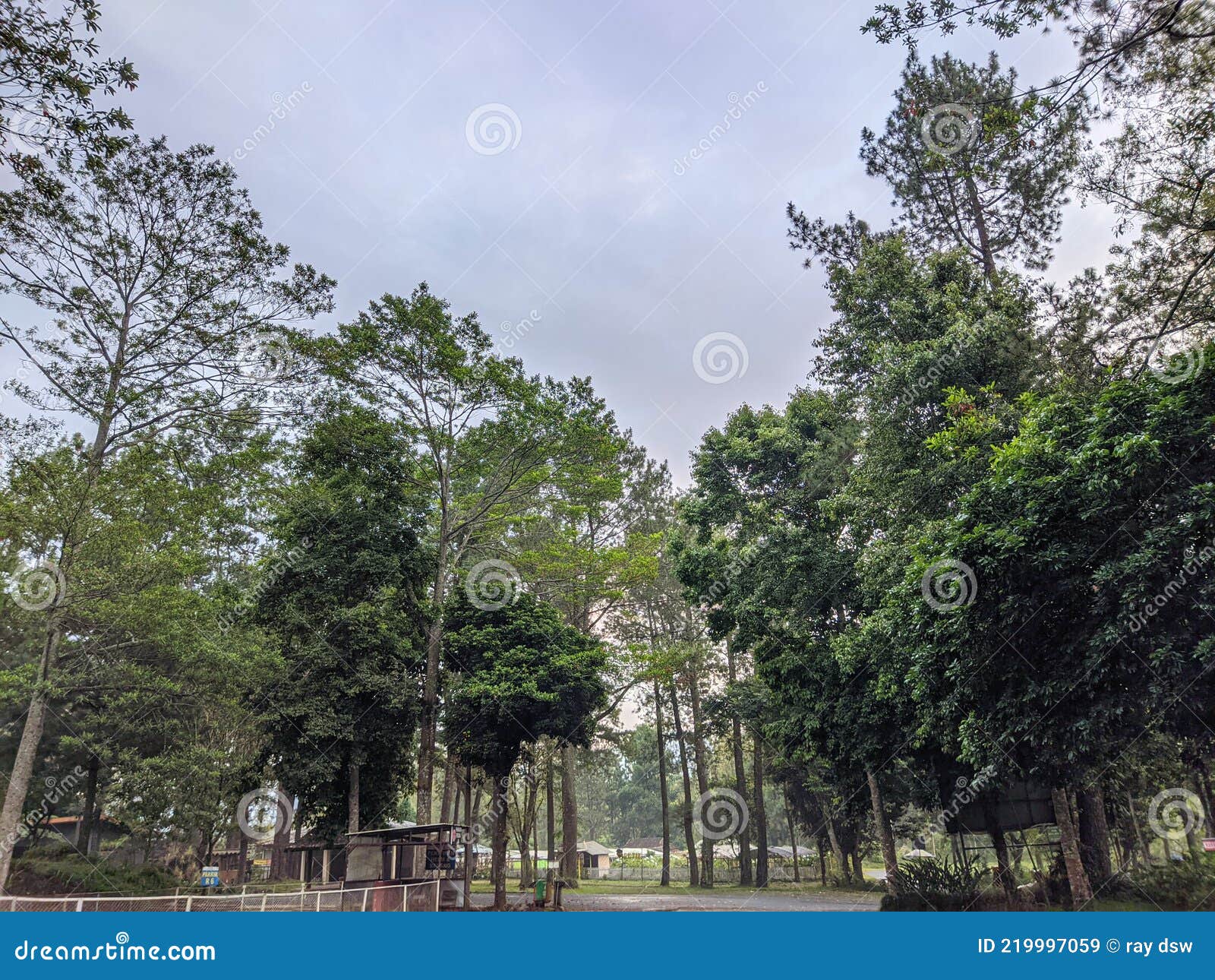 The Park on Coban Rondo stock image. Image of three - 219997059