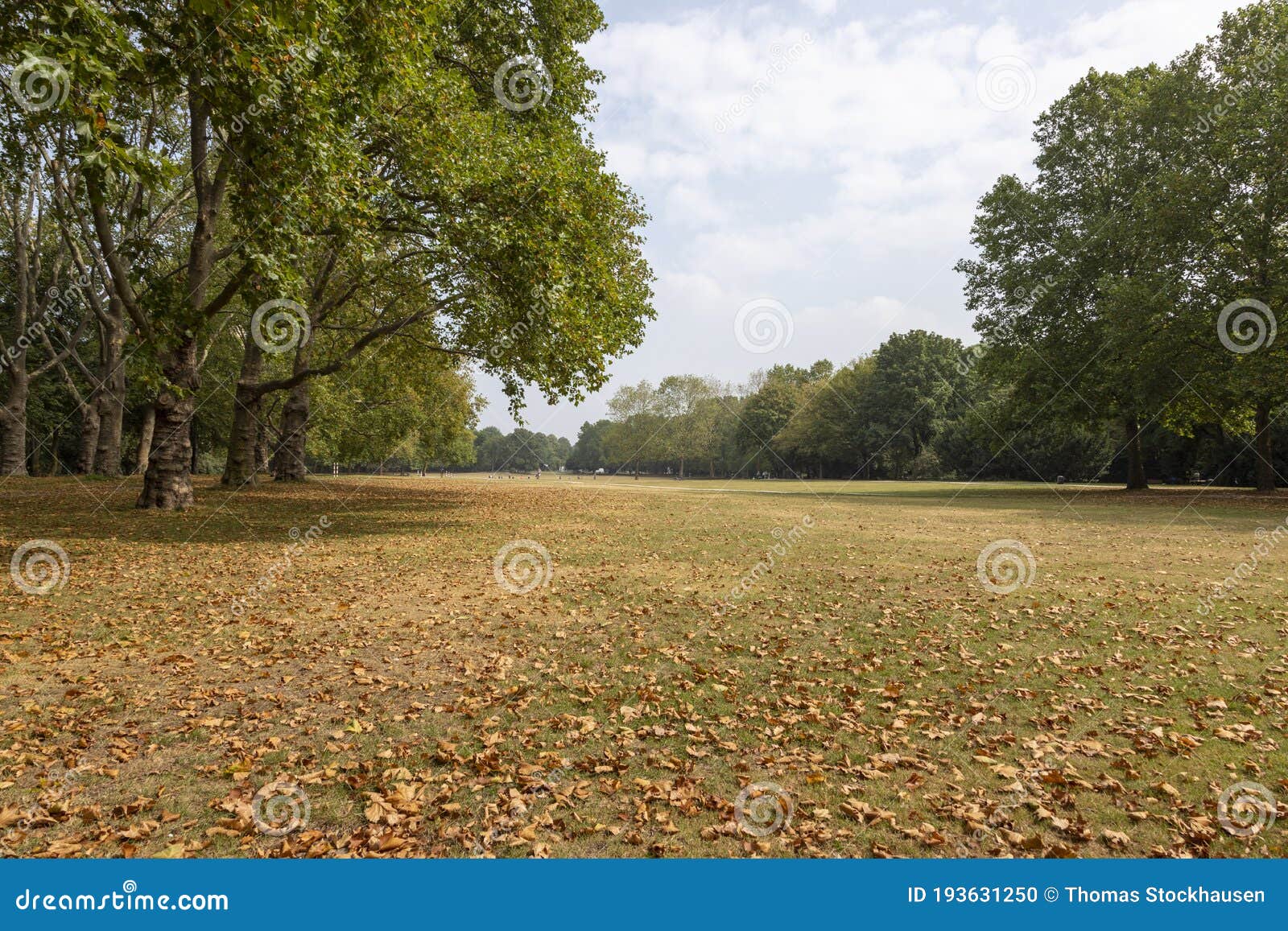 Park in Cologne with Trees and Dry Meadow, People in the Background ...