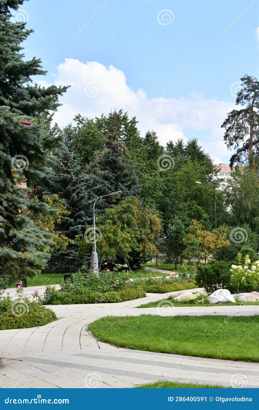 Park with Coniferous and Deciduous Trees in Moscow, Russia Editorial ...
