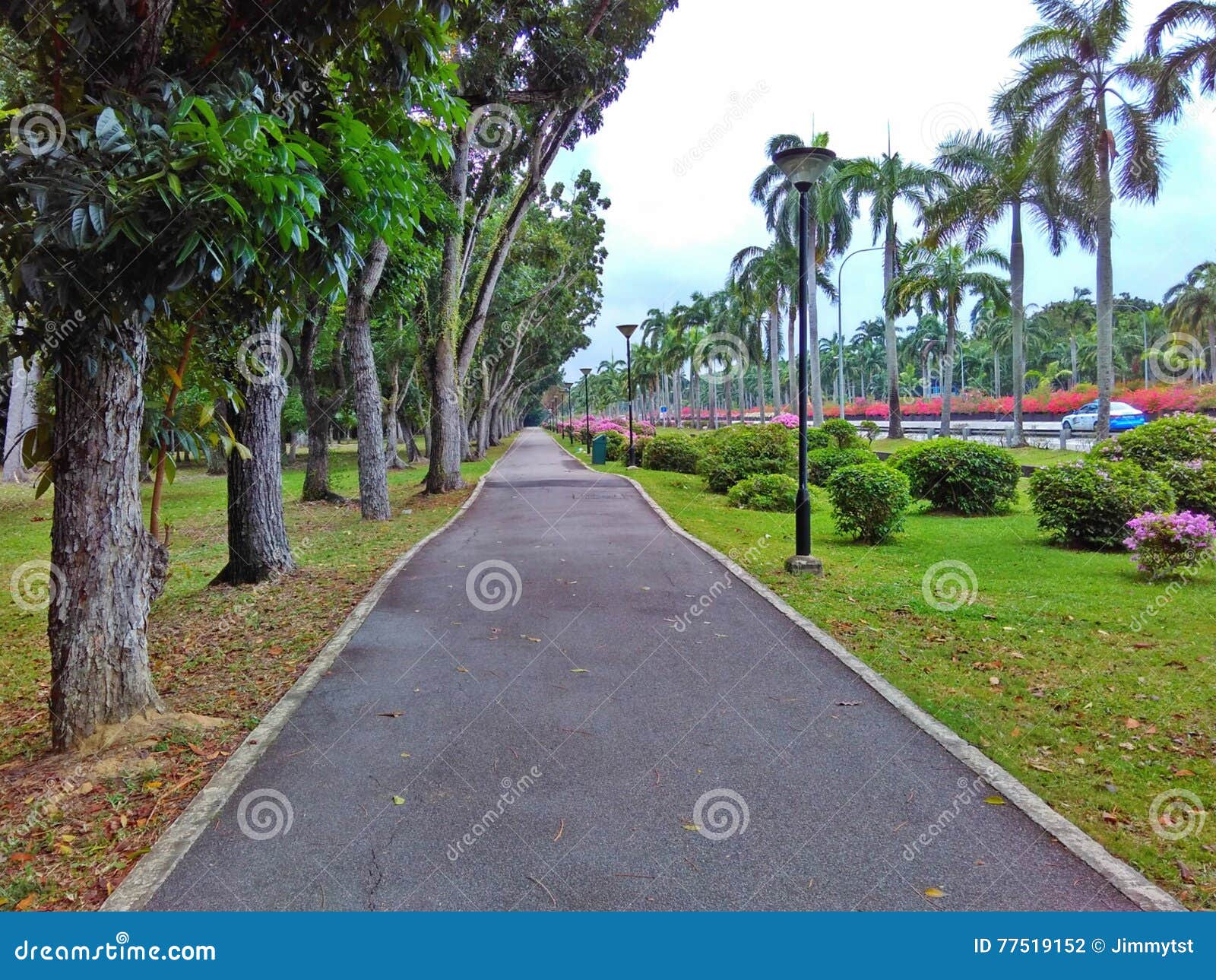 Park Connector Network stock photo. Image of coast, cycling - 77519152