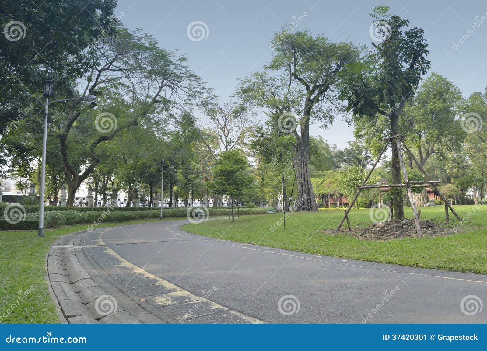 Park Corridor stock image. Image of life, comfort, grass - 37420301