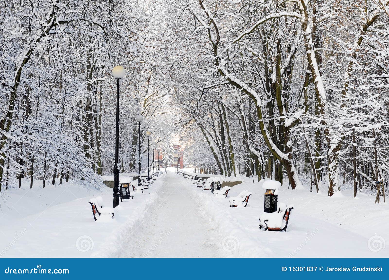 Park covered with snow stock image. Image of nature, mystical - 16301837