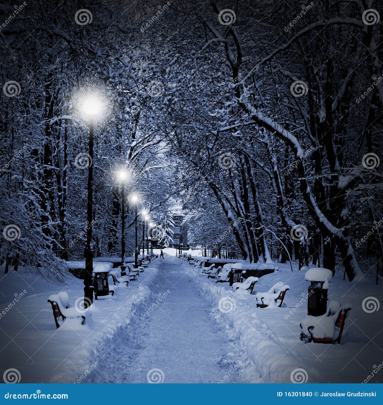 Park Covered with Snow at Night Stock Photo - Image of decorative, lamp ...