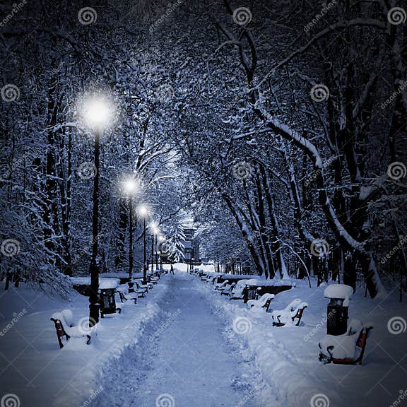 Park Covered with Snow at Night Stock Photo - Image of decorative, lamp ...