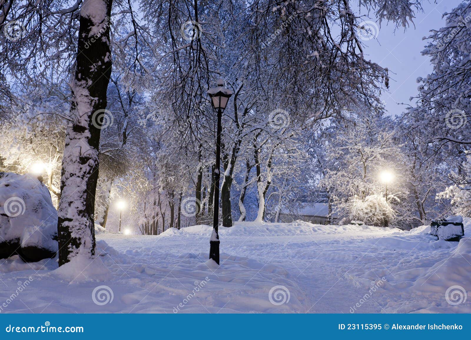 Park Covered with Snow at Night. Stock Image - Image of forest ...