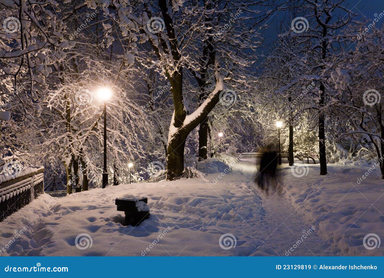Park Covered with Snow at Night. Stock Image - Image of blue, peaceful ...