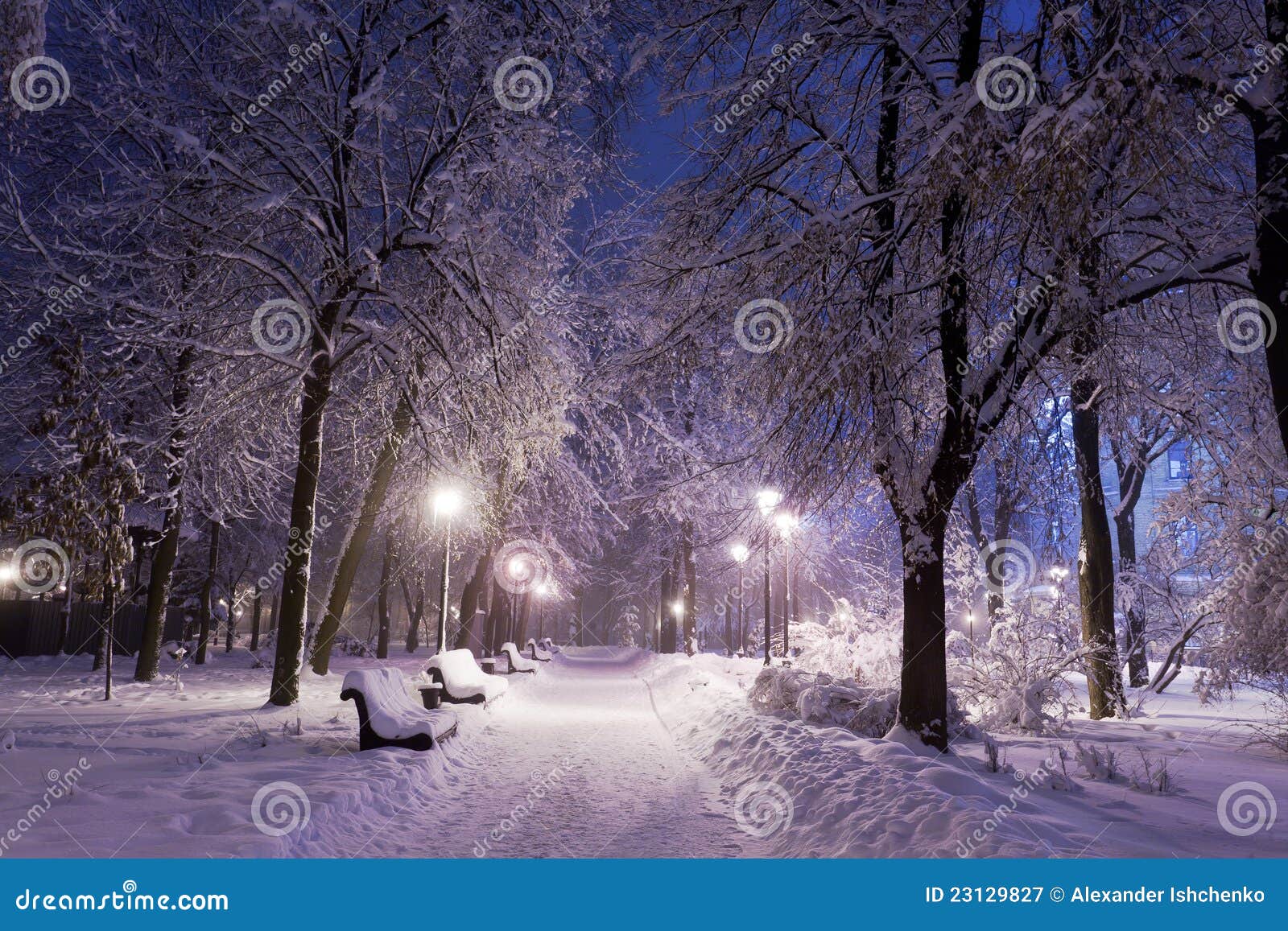 Park Covered with Snow at Night. Stock Image - Image of lamp, quiet ...
