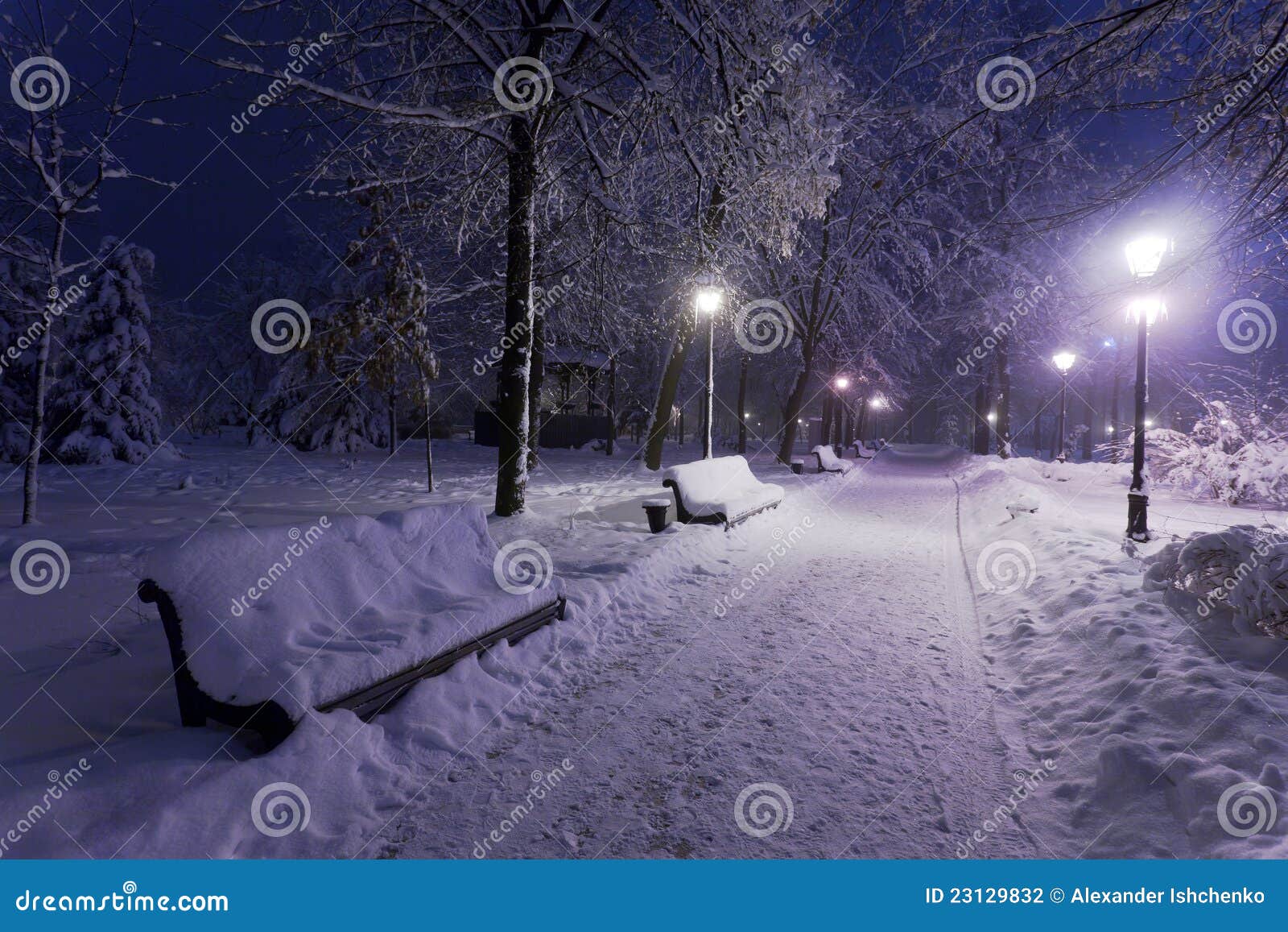 Park Covered with Snow at Night. Stock Photo - Image of evening, frozen ...