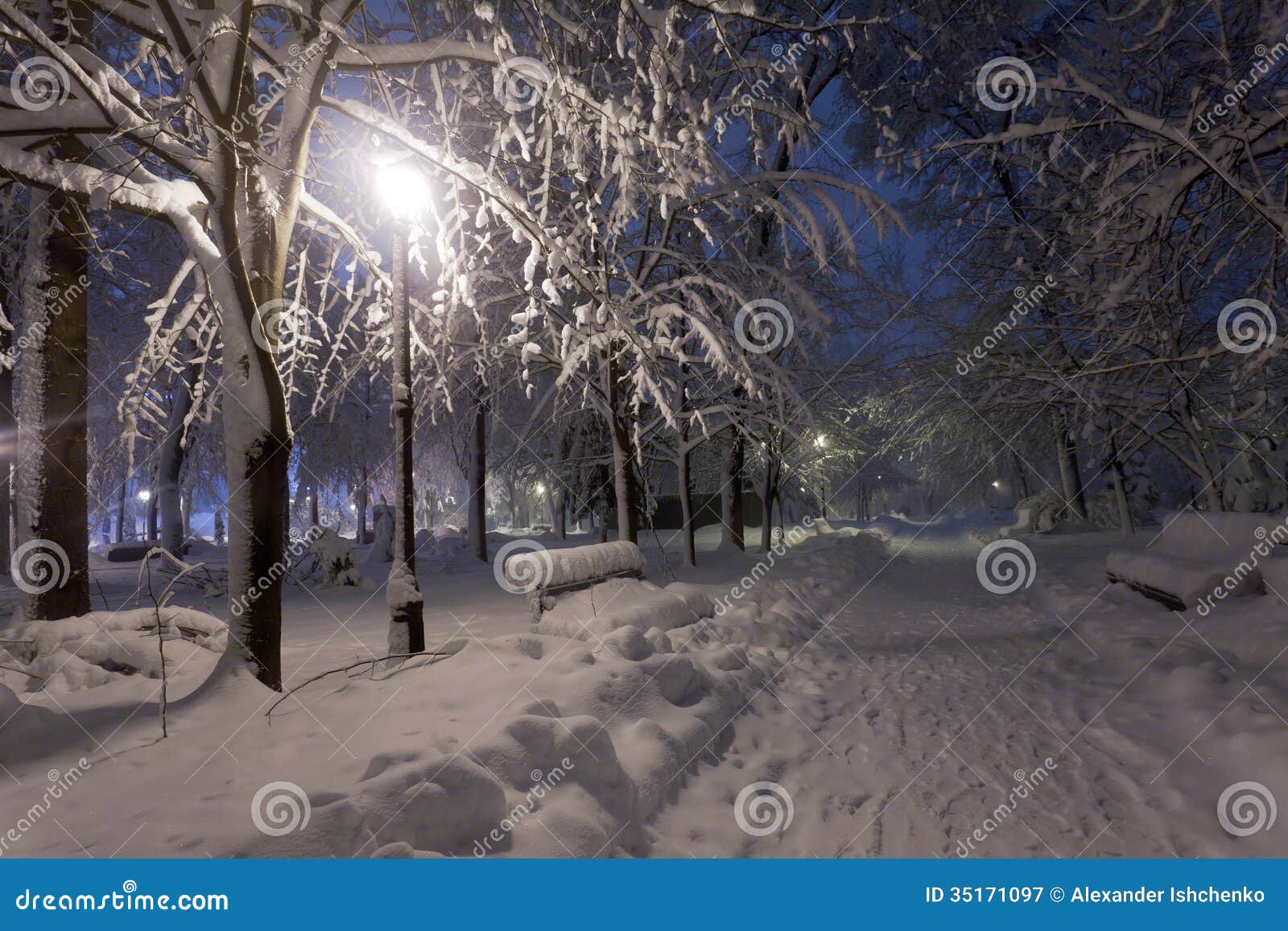 Park Covered with Snow at Night. Stock Image - Image of scene, evening ...