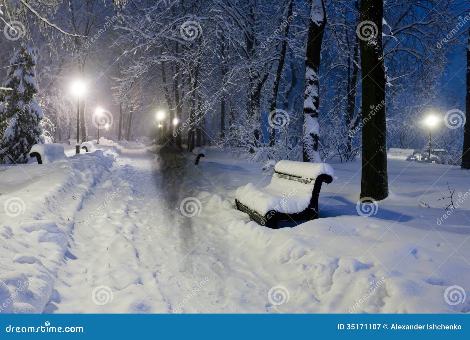 Park Covered with Snow at Night. Stock Image - Image of landscape ...