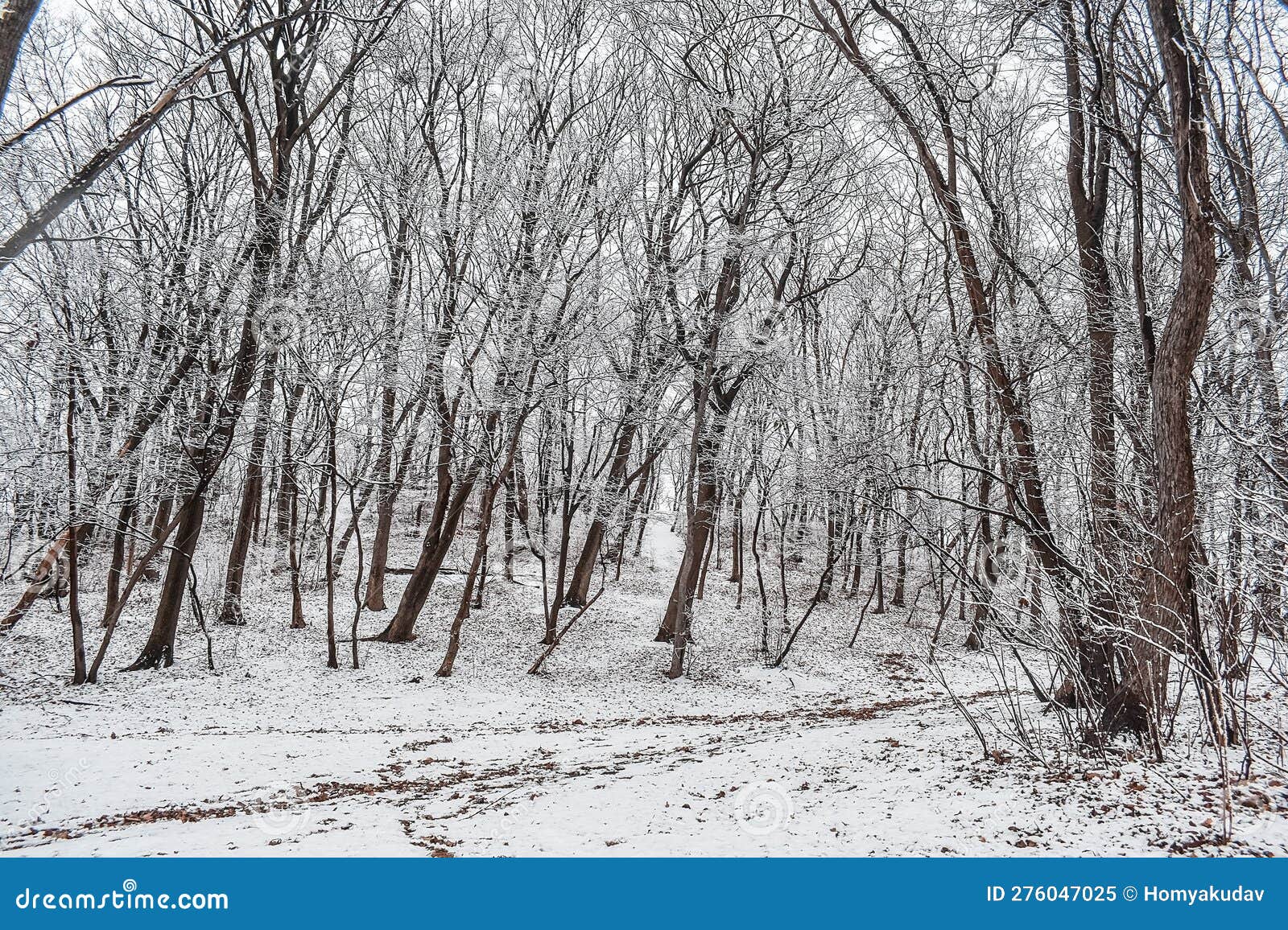 The Park is Covered with a Thin Layer of Snow in Winter. Stock Image ...