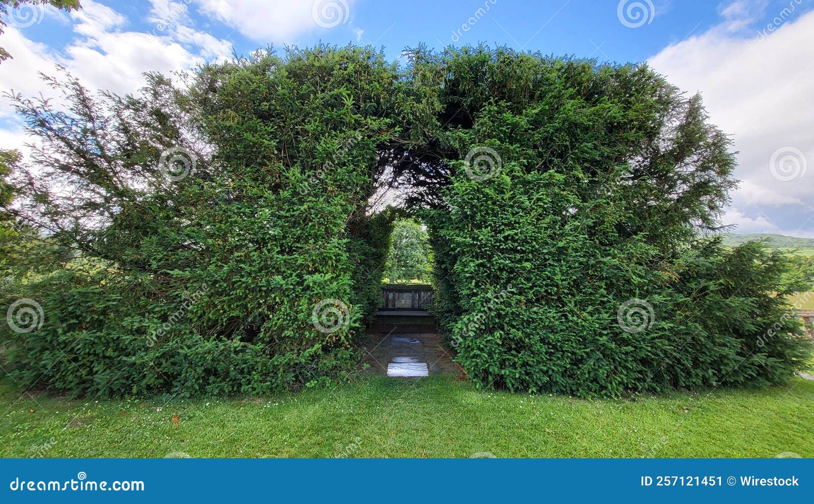 Park with Decorative Grass Arch Stock Image - Image of shape, green ...