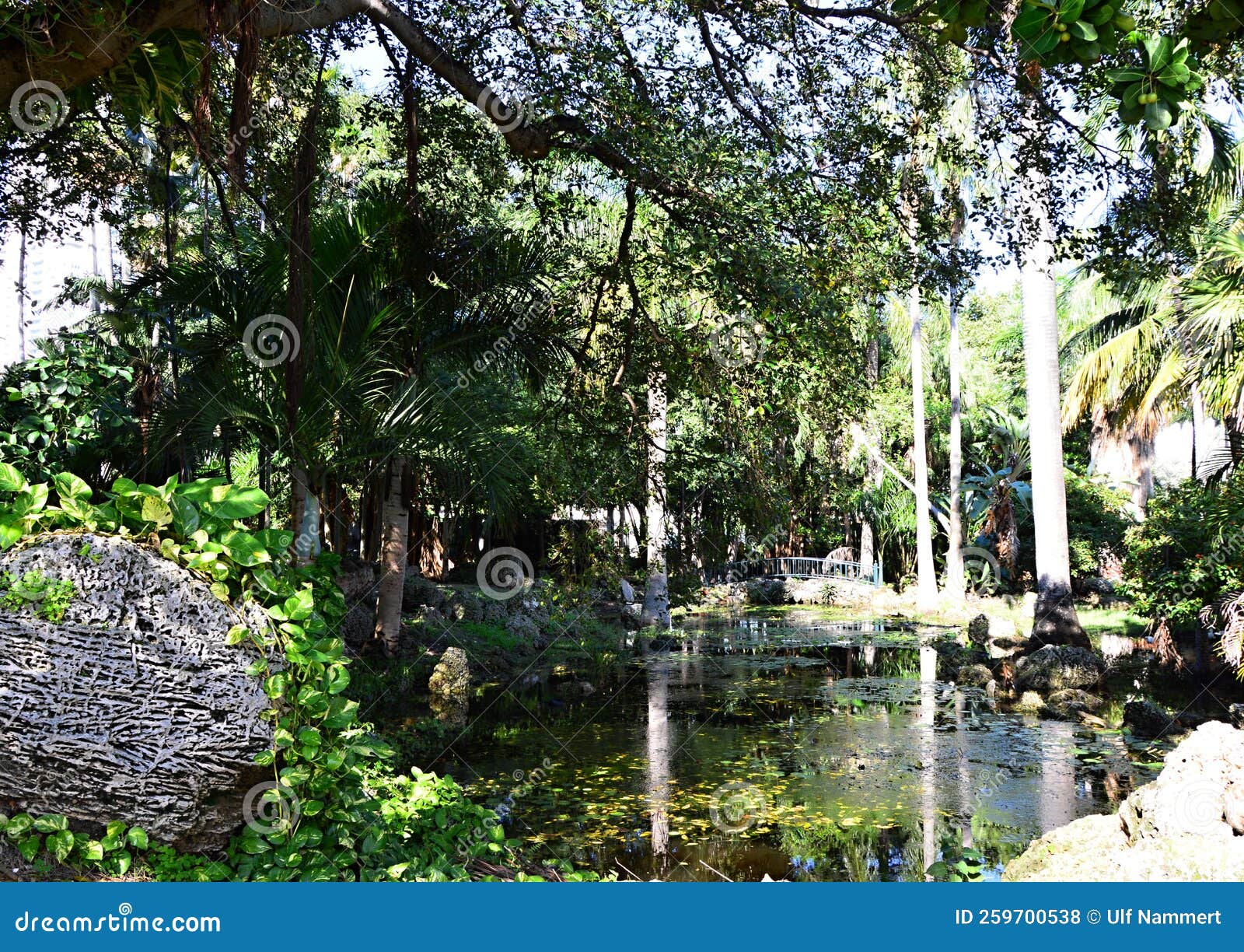 Park in Downtown Miami, Florida Stock Photo - Image of garden, water ...