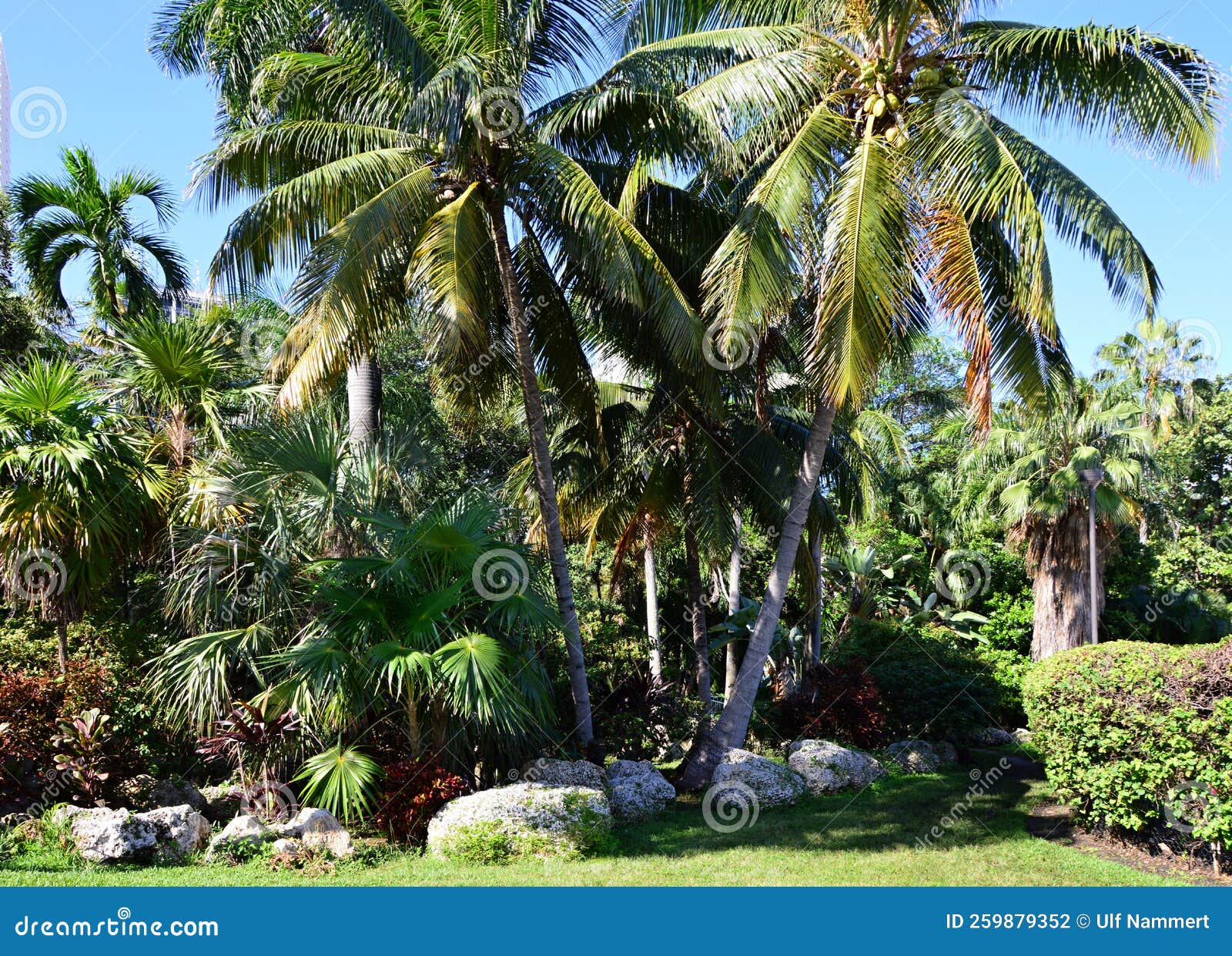 Park in Downtown Miami, Florida Stock Photo - Image of states, yard ...