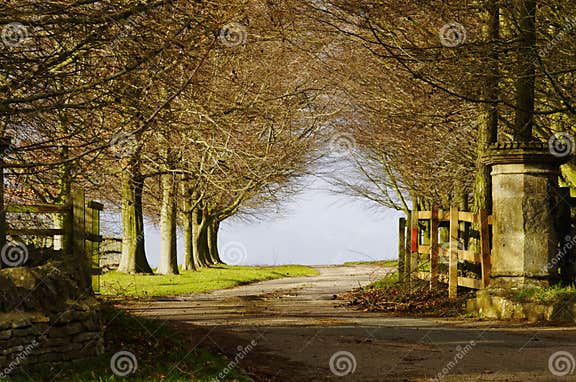Park entry gate stock photo. Image of land, horizon, britain - 25680700