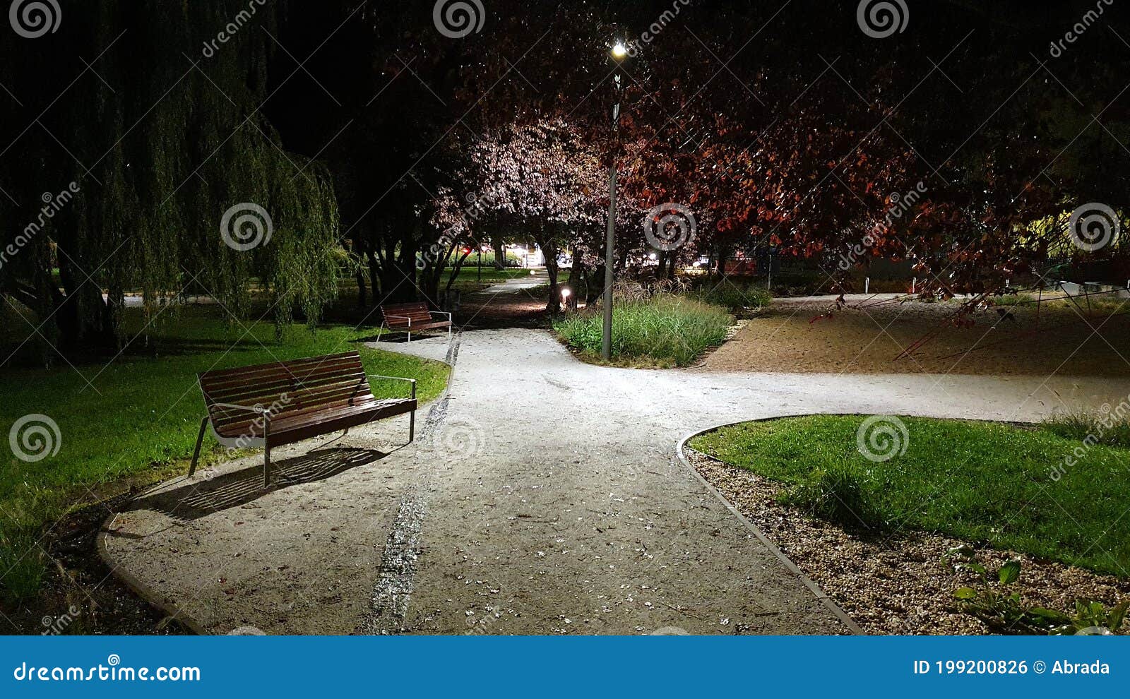 Park in the evening stock photo. Image of park, outdoor - 199200826
