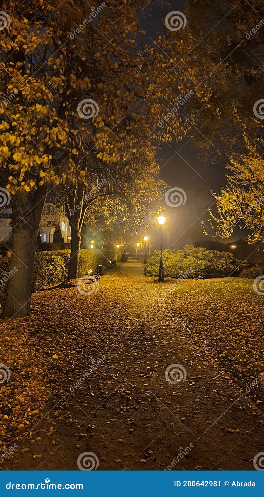 Park in the evening stock image. Image of garden, evening - 200642981