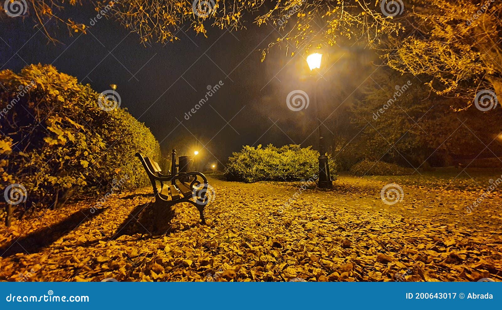 Park in the evening stock image. Image of gold, landscape - 200643017