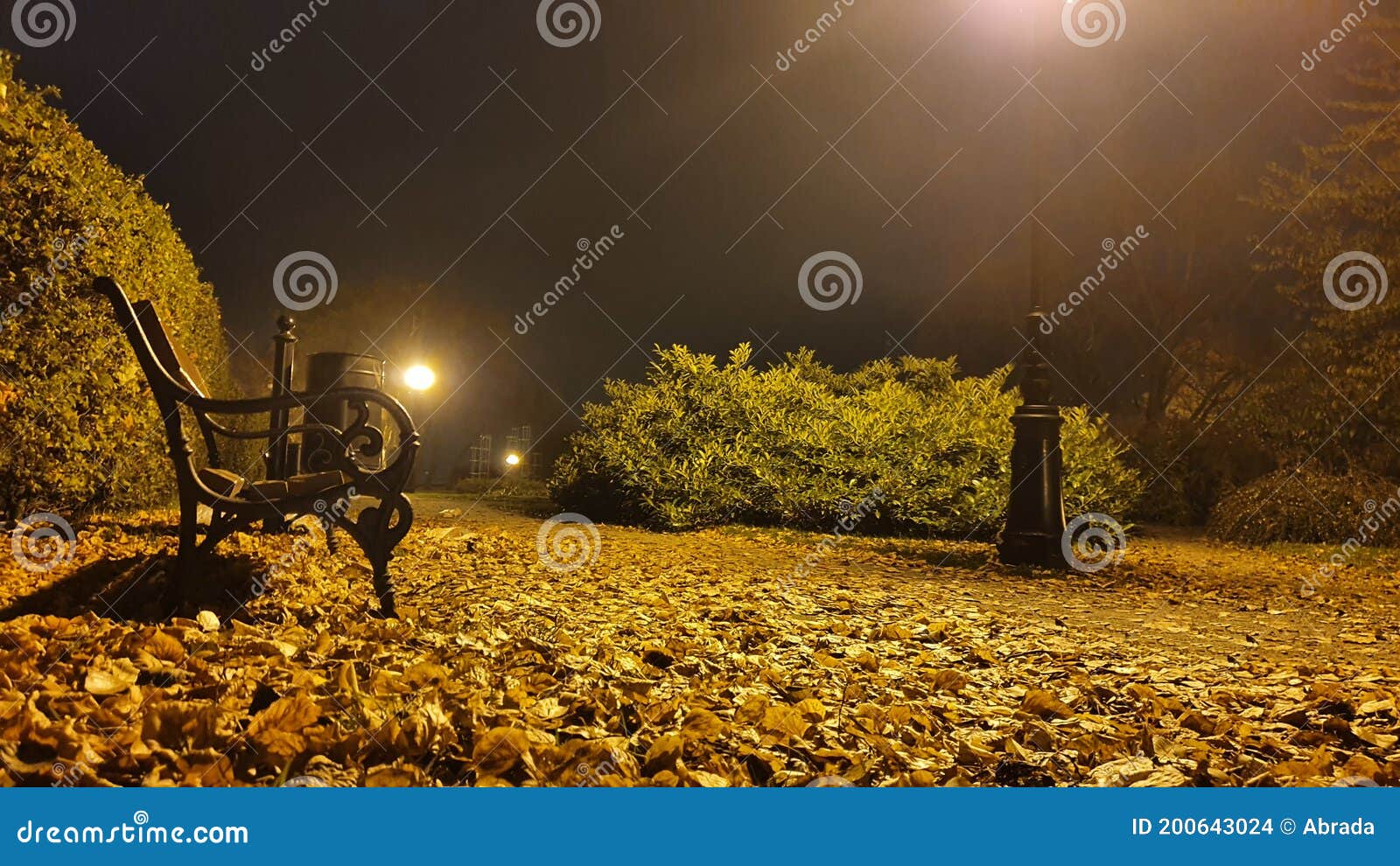 Park in the evening stock photo. Image of park, alley - 200643024