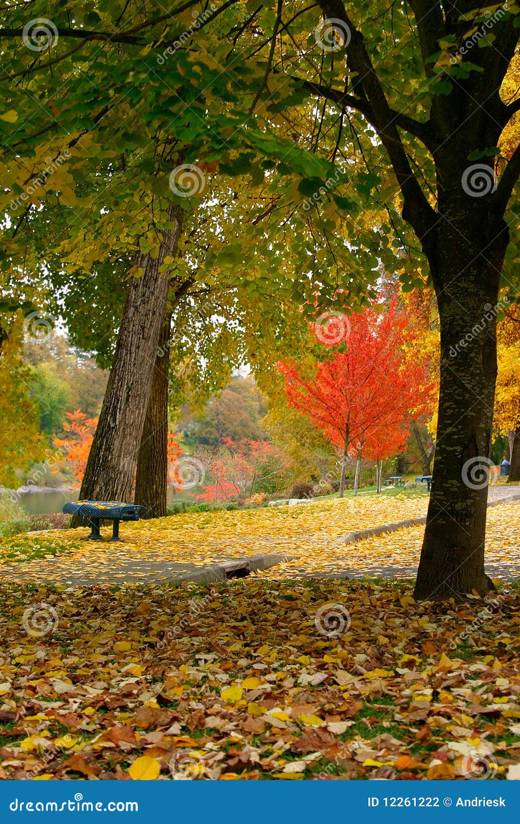 Park in the fall 1 stock photo. Image of river, seasonal - 12261222
