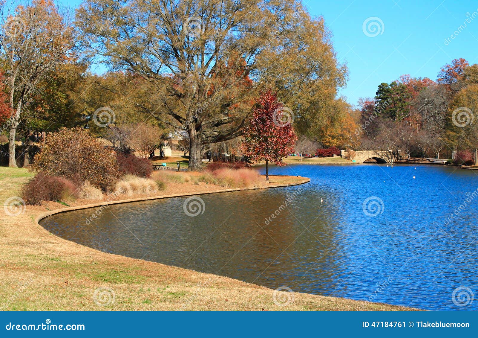 Park in the Fall 2 stock image. Image of city, fall, season - 47184761