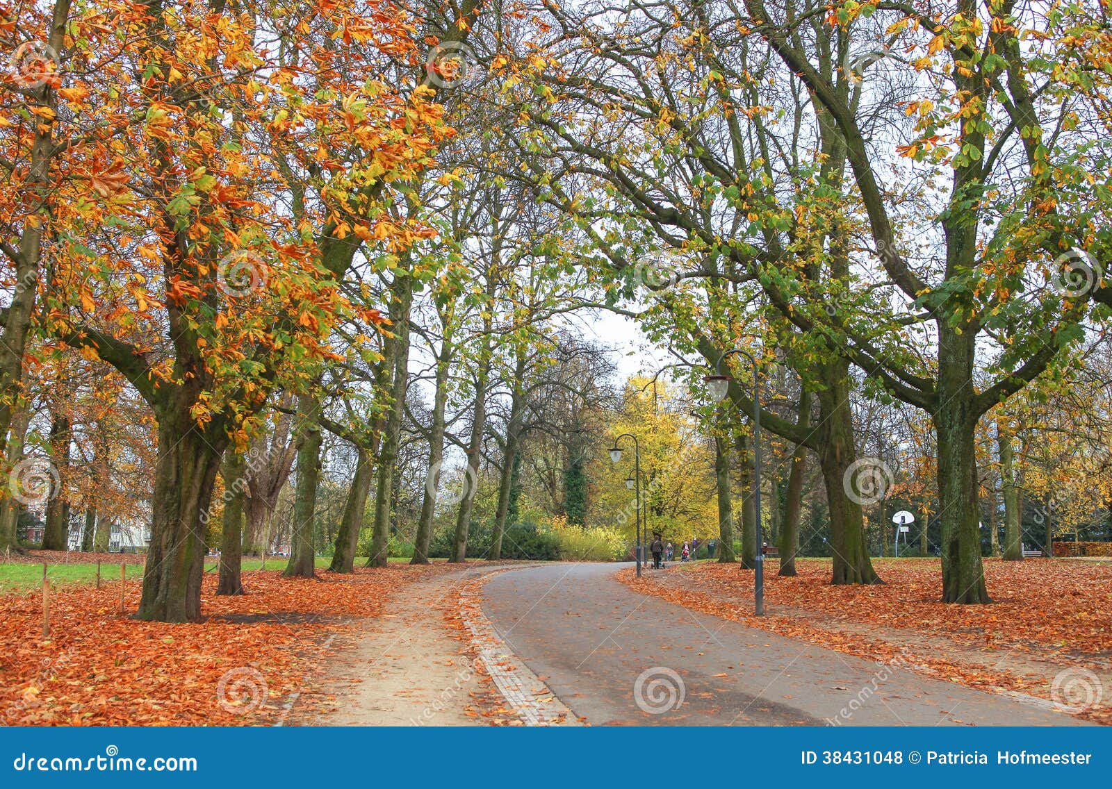 Park in fall season stock photo. Image of abstract, color - 38431048