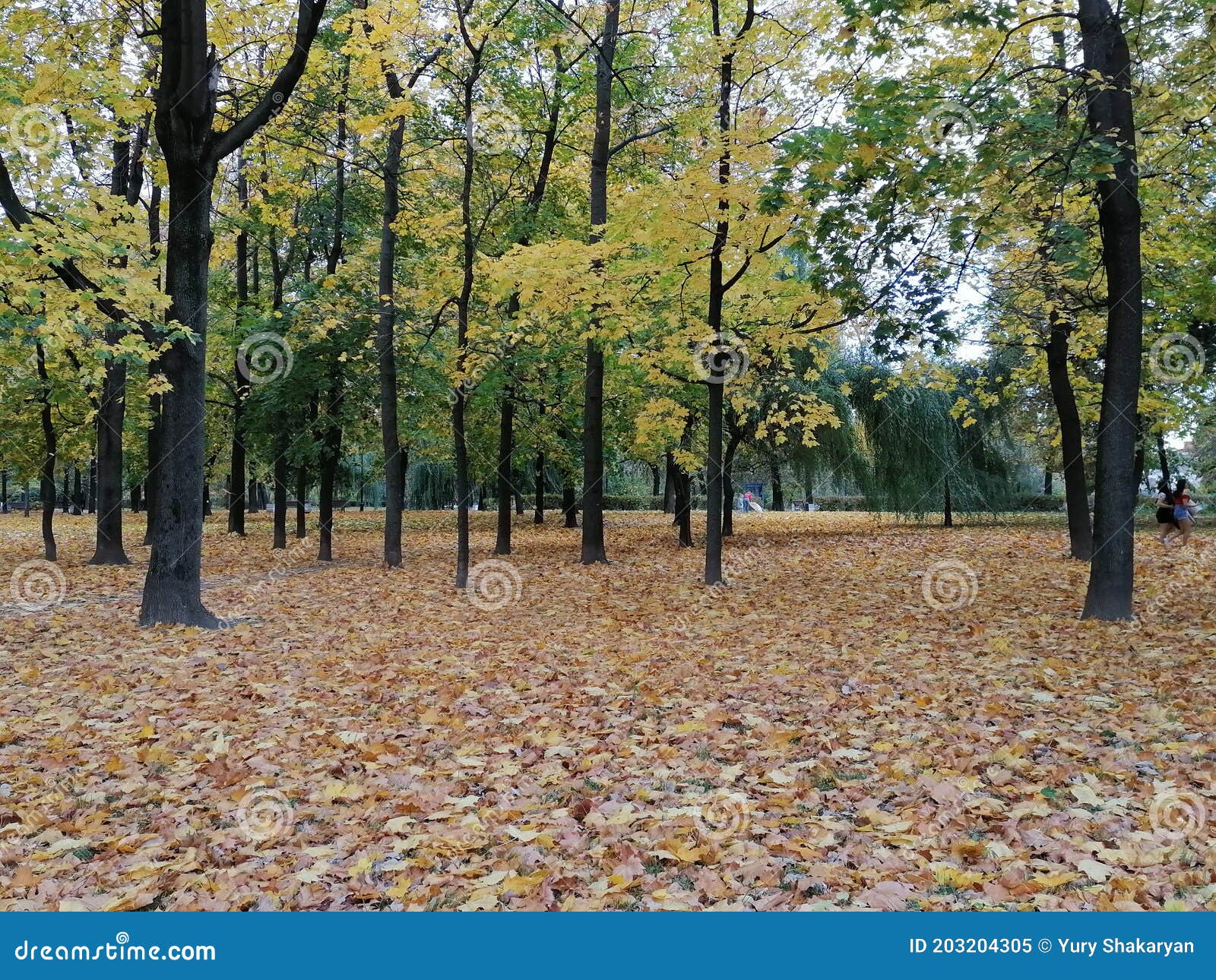 Semyonovsky Park Stock Photos - Free & Royalty-Free Stock Photos from ...