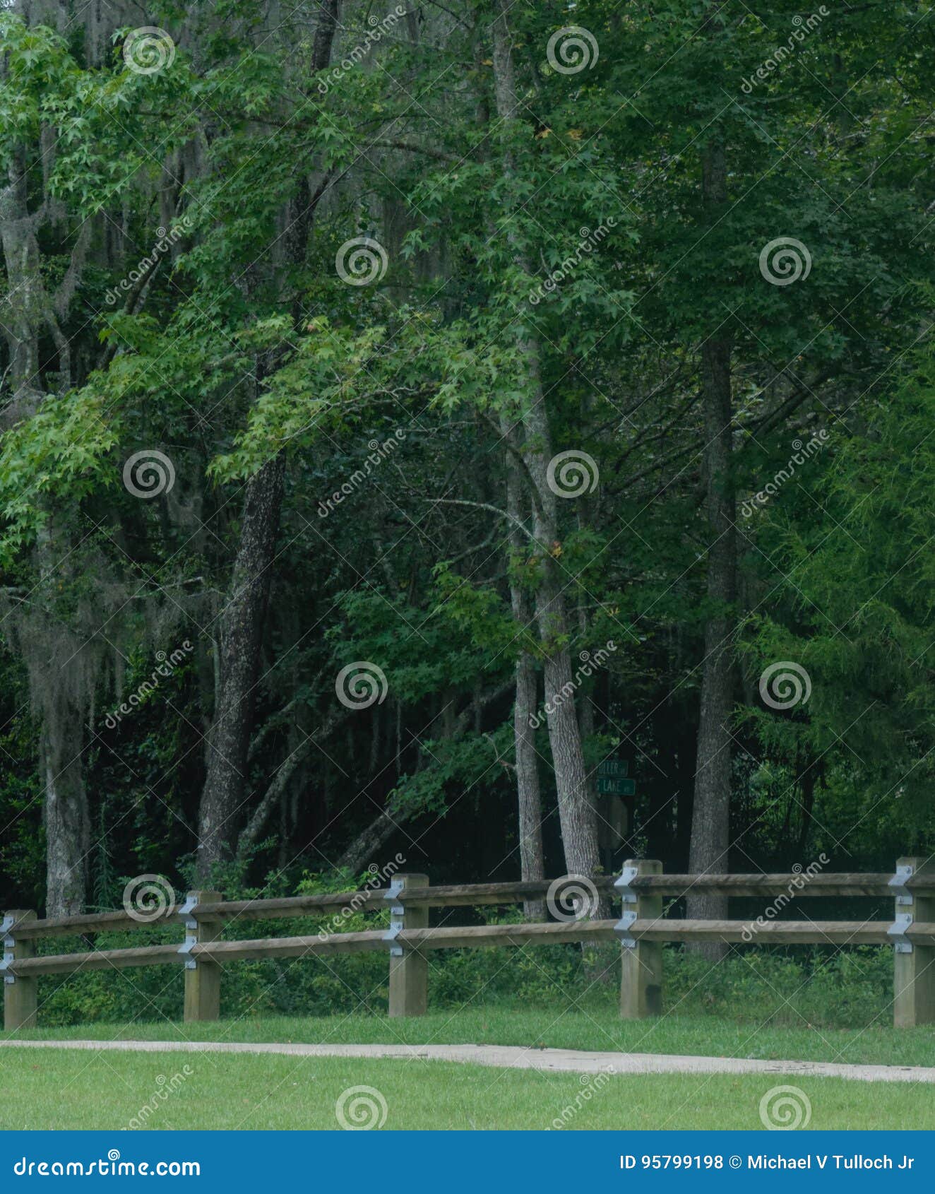 Park Fence stock photo. Image of tallahassee, green, rail - 95799198
