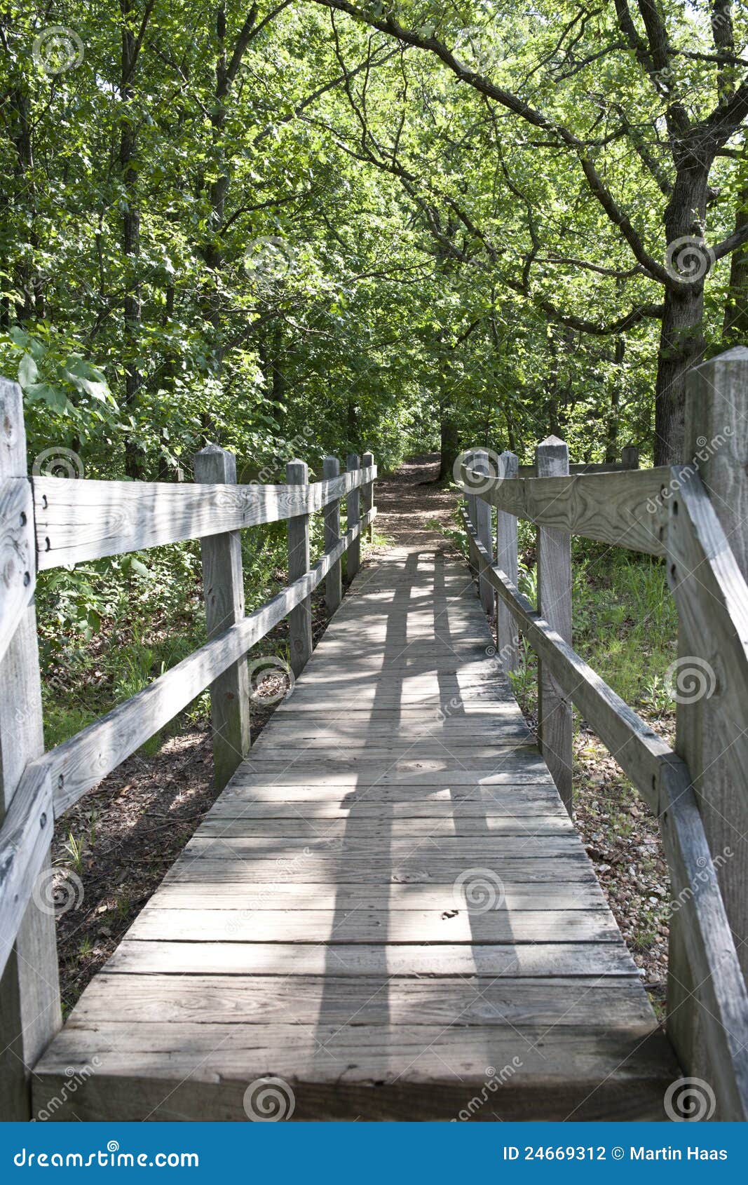 Park footbridge stock photo. Image of hike, vegetation - 24669312