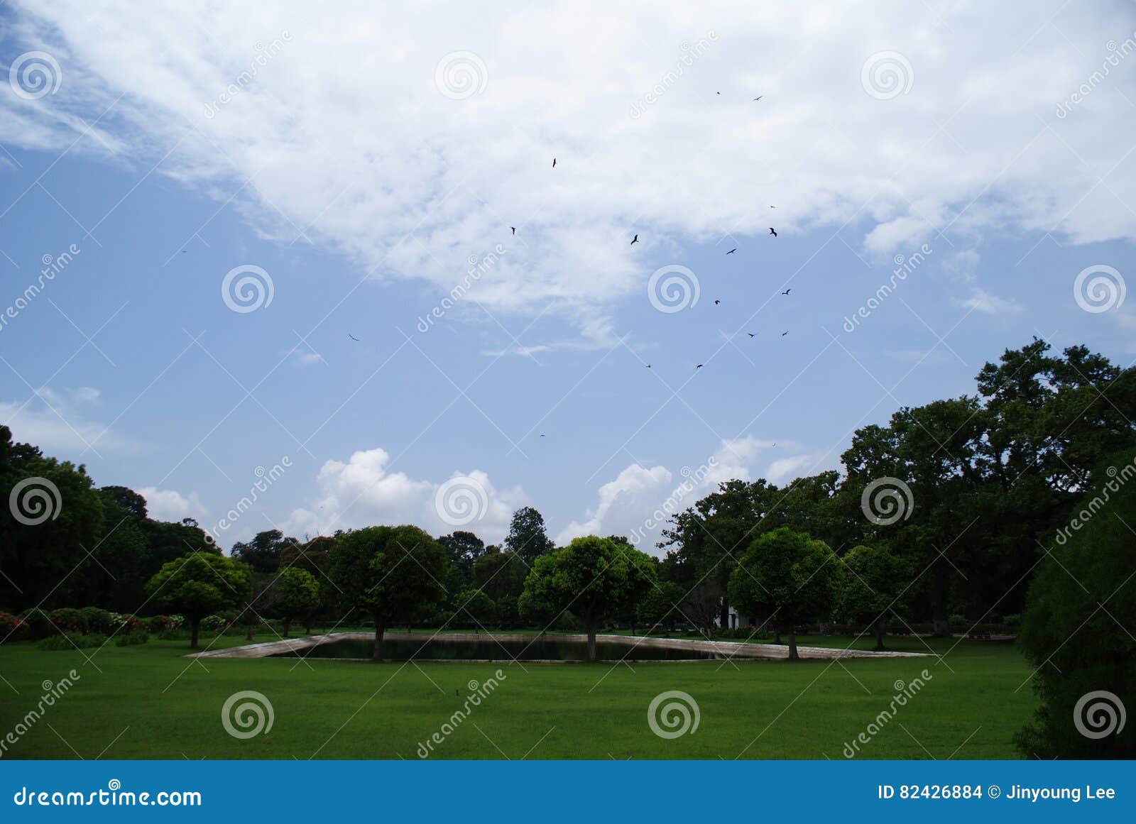 Park stock photo. Image of garden, park, outdoors, formal - 82426884