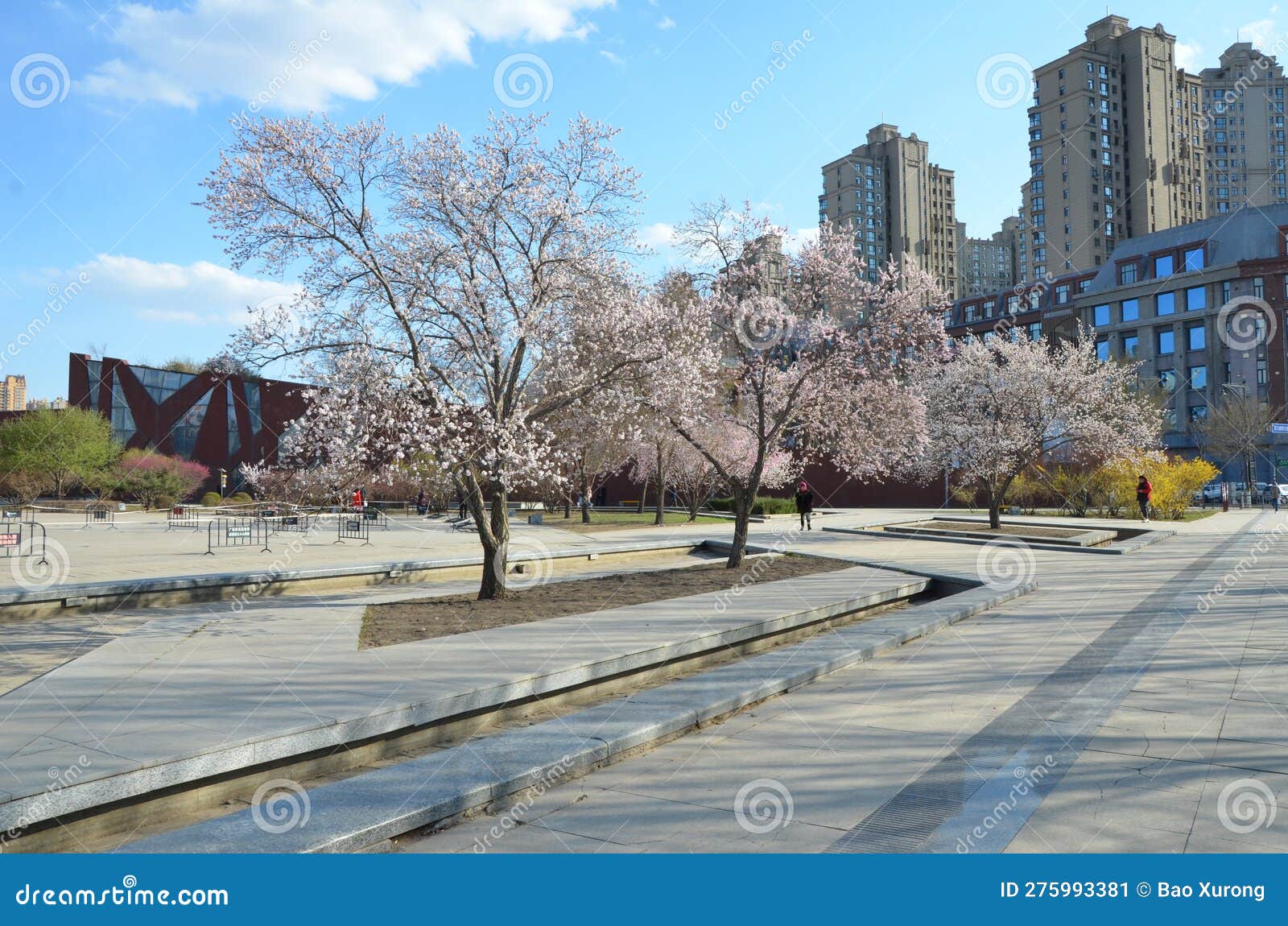 A Park Full of Trees and Flowers in the Spring Season Stock Image ...