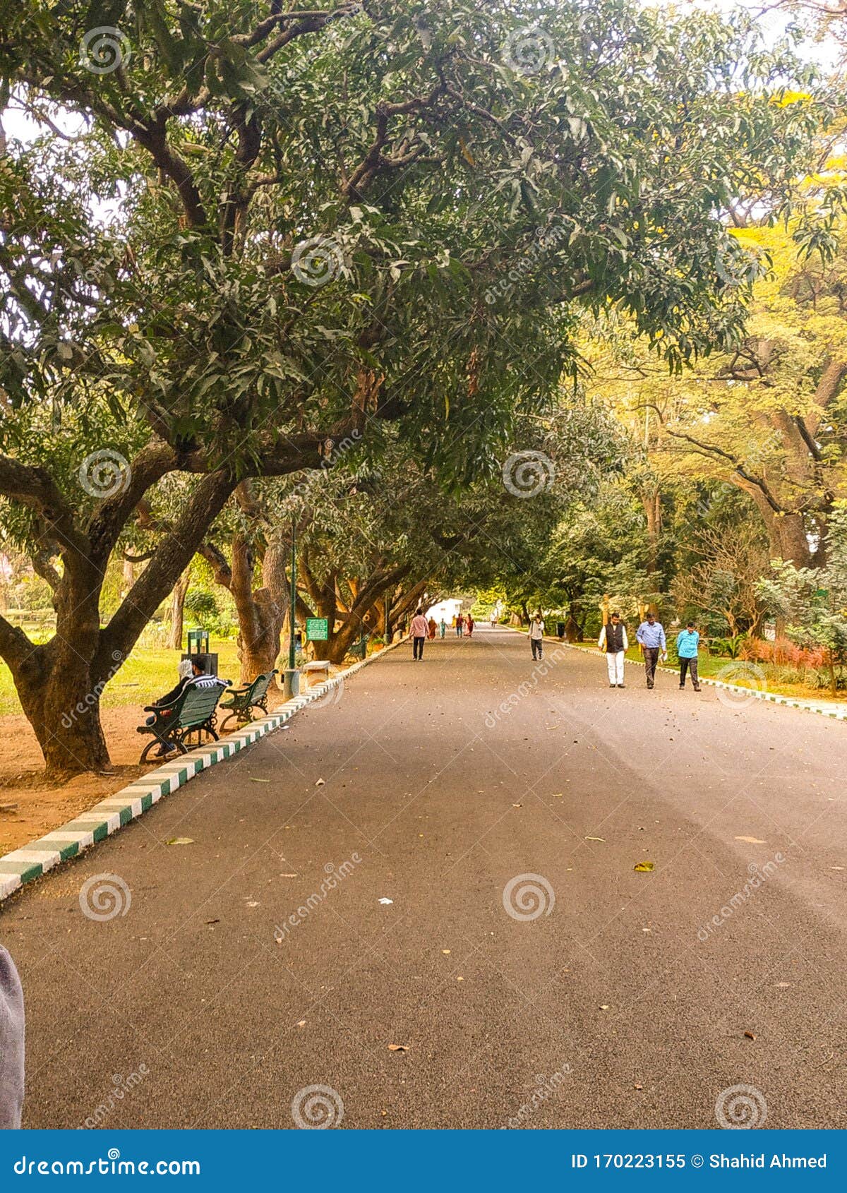 Park, Garden, Pathway, Trees, People Walking Editorial Image - Image of ...