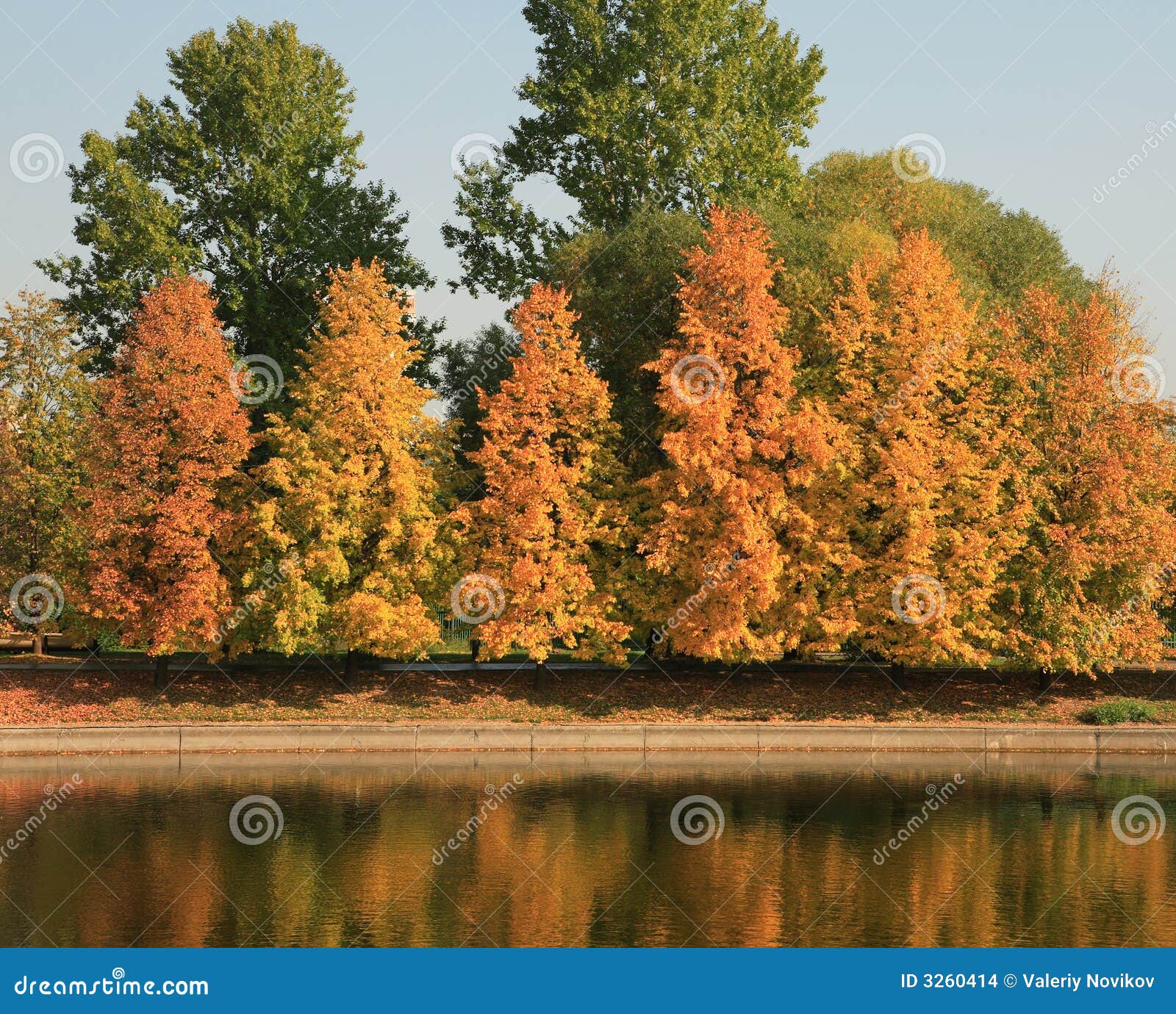 Park in gold fall stock photo. Image of orange, green - 3260414