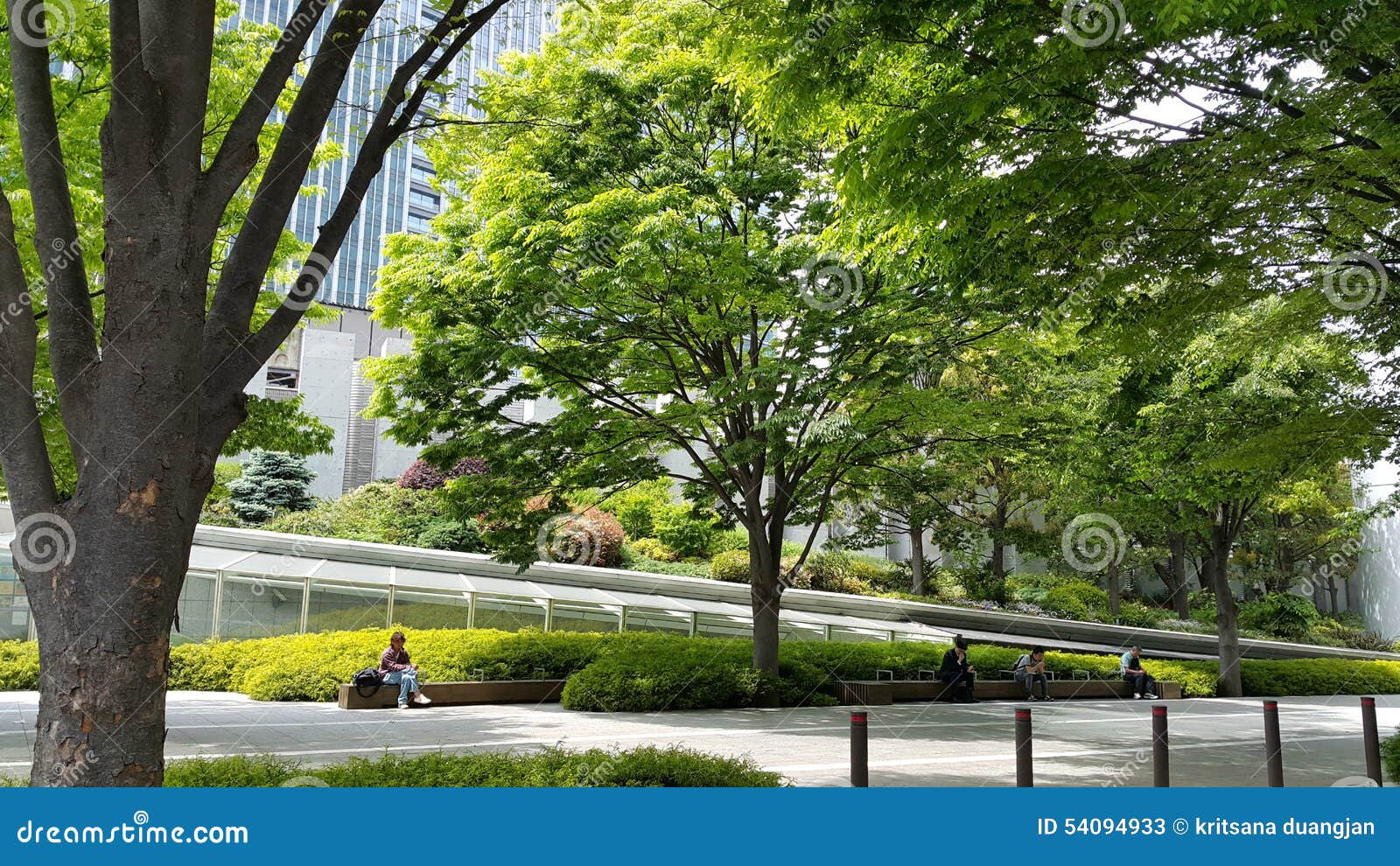 Park editorial stock photo. Image of fresh, green, relax - 54094933