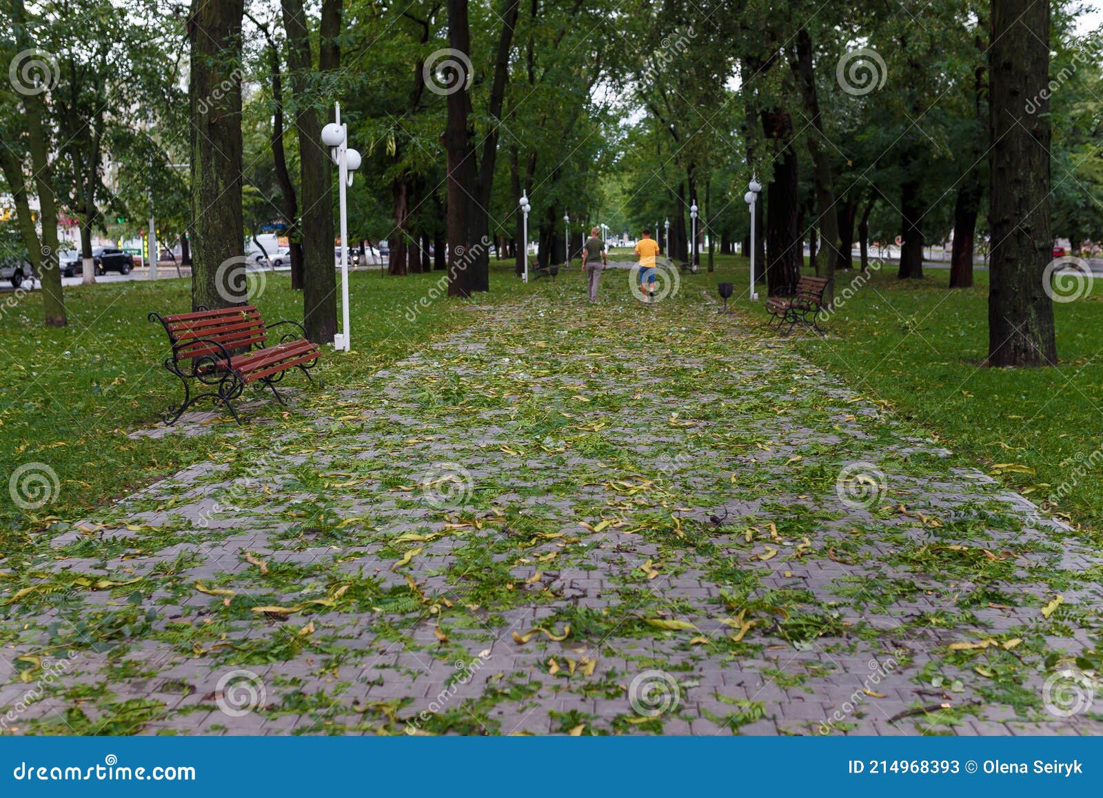 Park with Green Fallen Leaves and Branches. Thunderstorm, Heavy Rain ...
