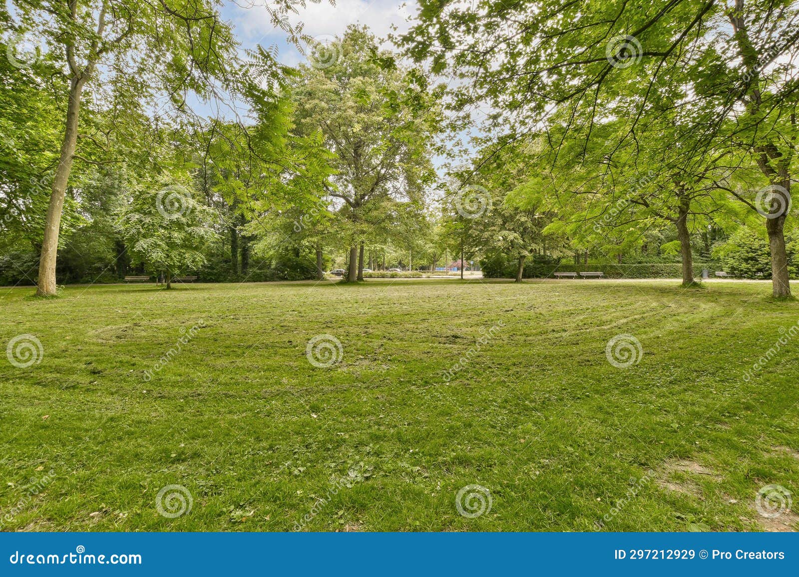 A Park with Green Grass and Trees Stock Image - Image of summer, forest ...
