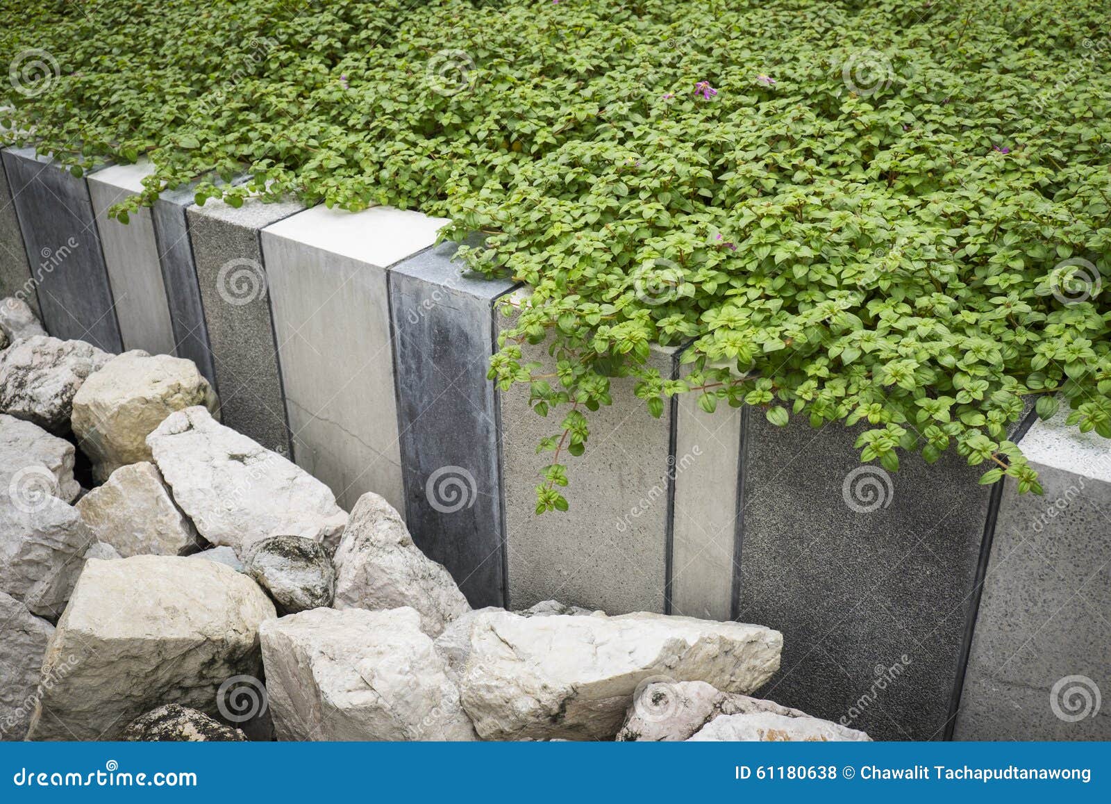 Park hardscape stock photo. Image of hardscape, foliage - 61180638