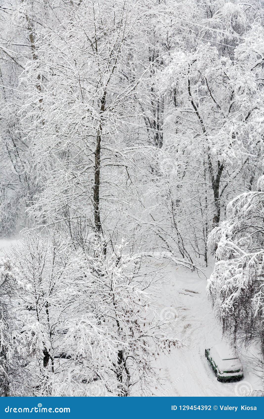 Park during a heavy snow stock photo. Image of cold - 129454392