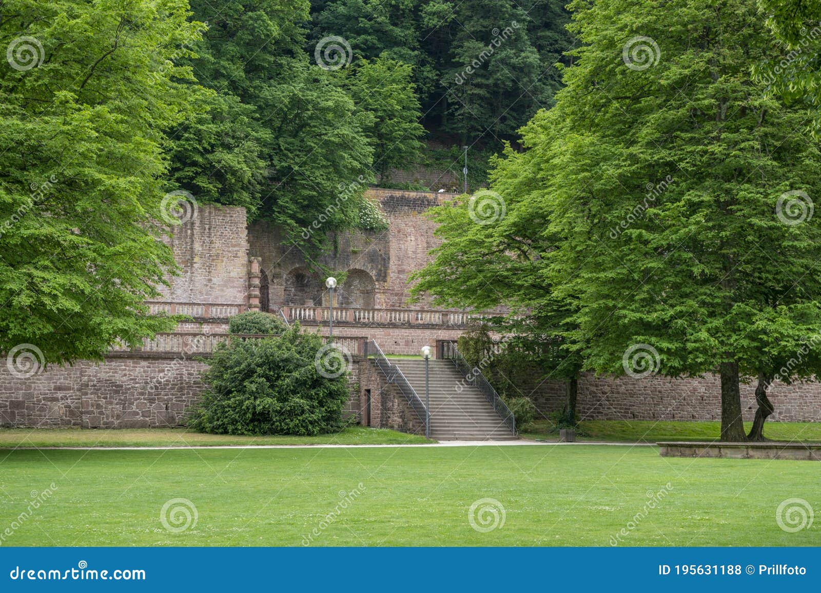 Park in Heidelberg stock photo. Image of summer, germany - 195631188