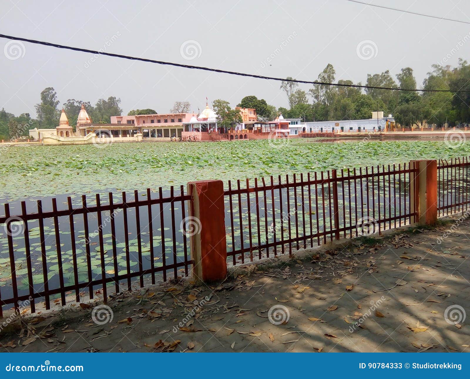 Park stock image. Image of greenery, devimagesofpark - 90784333