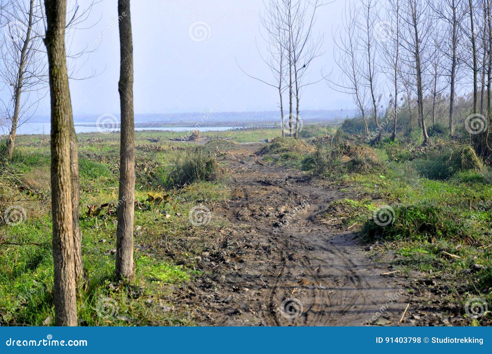 Park stock photo. Image of indian, greenery, trees, devimagesofpark ...