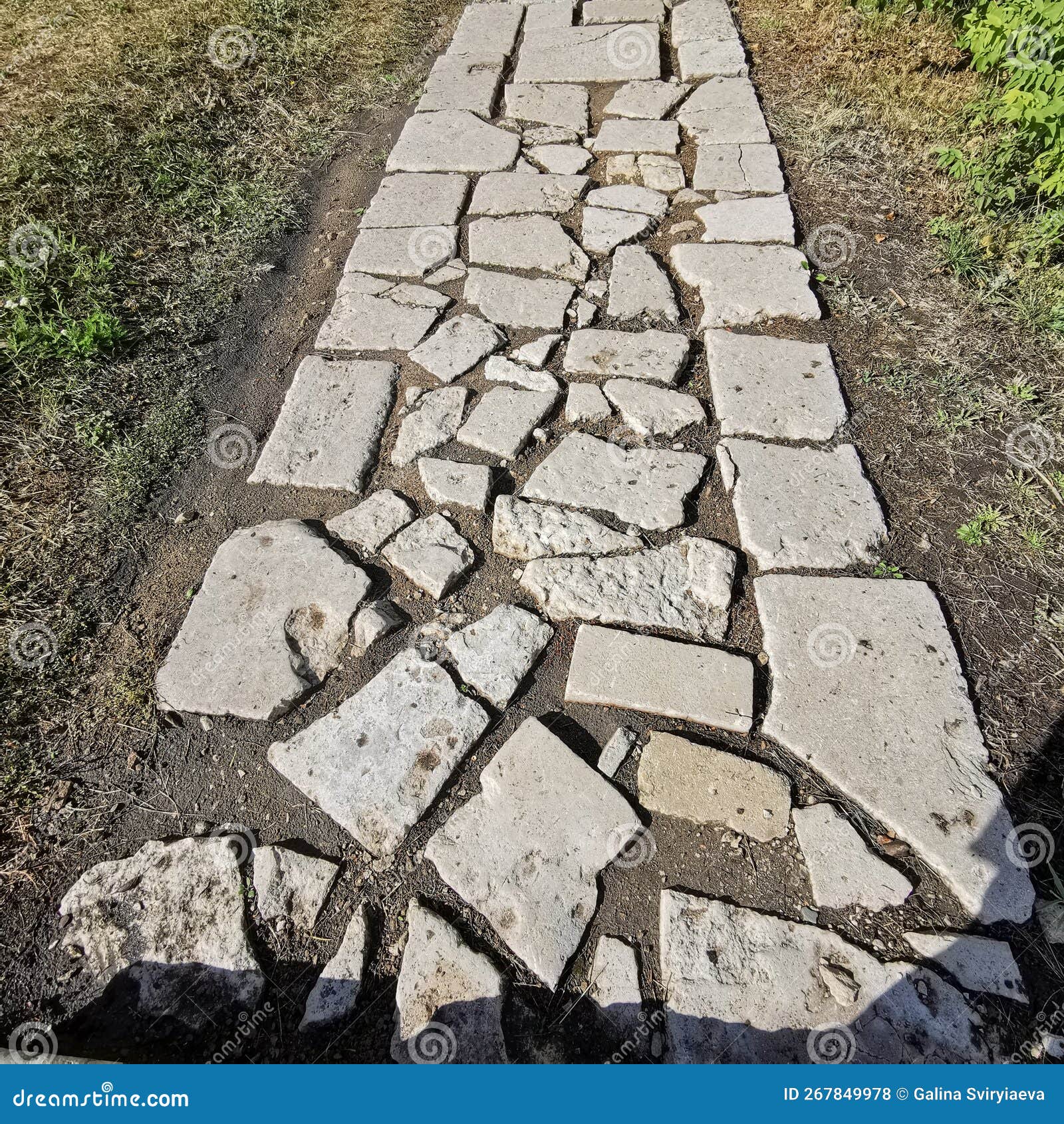 Park Infrastructure, Landscape Design. Walking Paths, Green Lawns with ...